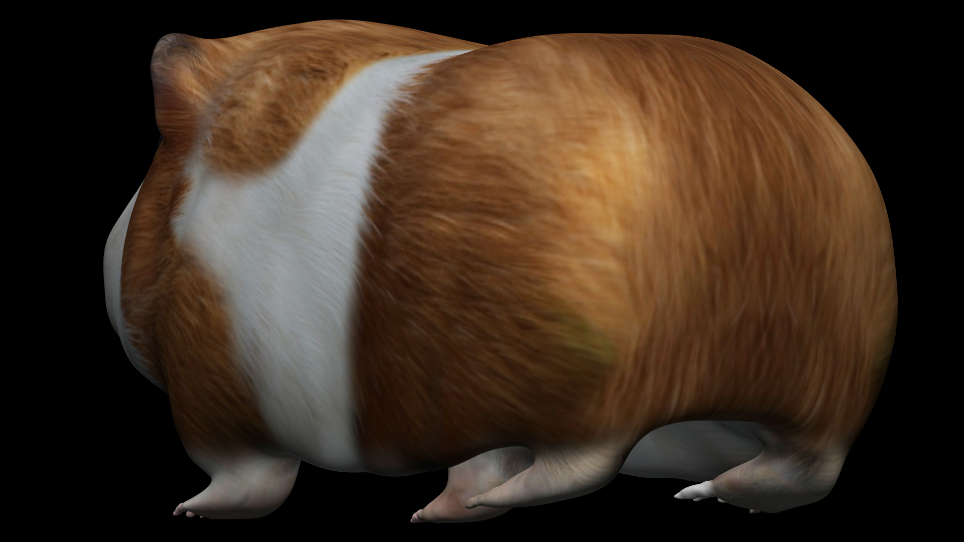 vollständig montierter Low-Poly-Hamster 3D-Modell - TurboSquid 1724852