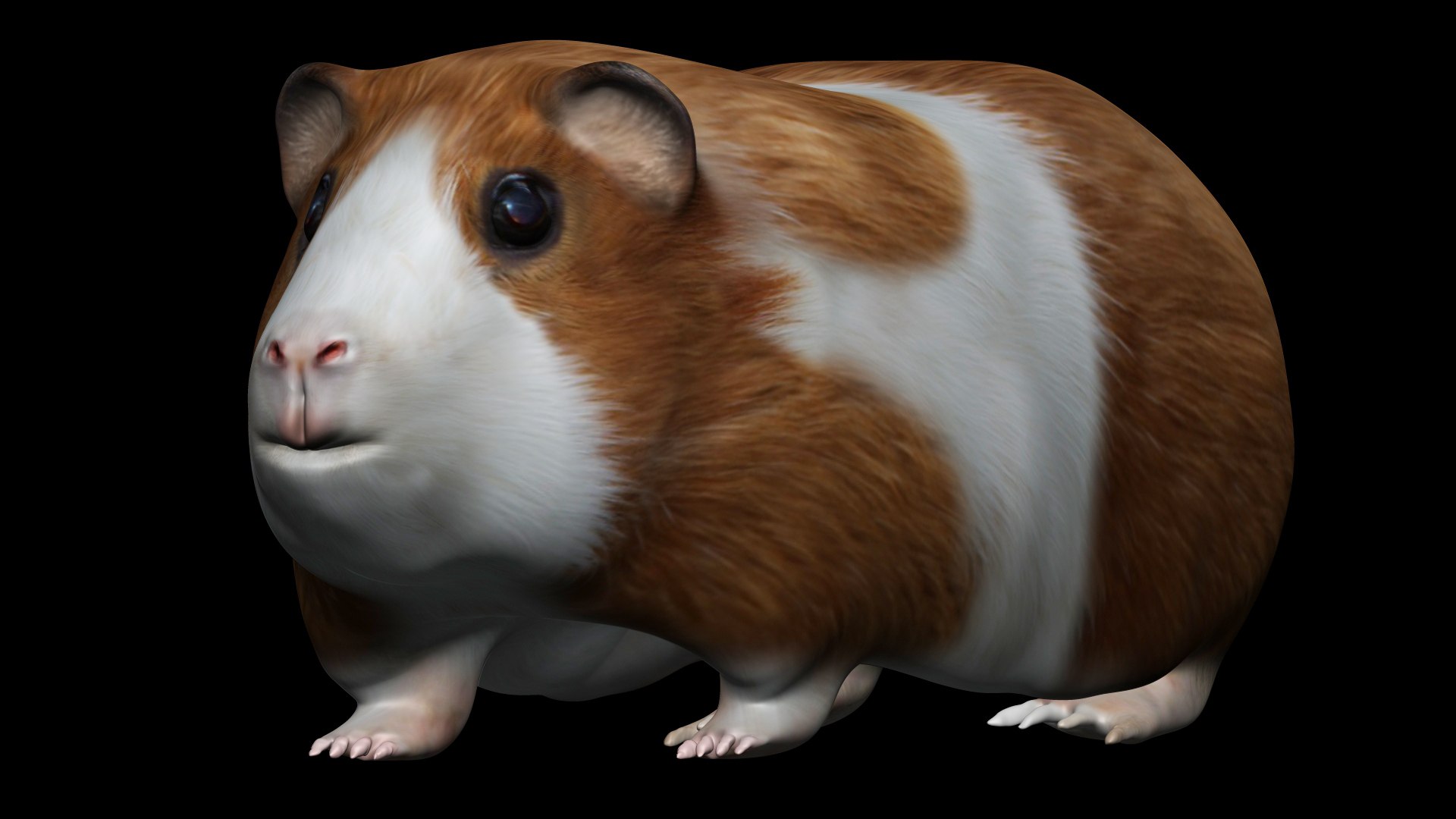 Fully Rigged Low Poly Hamster 3D - TurboSquid 1724852