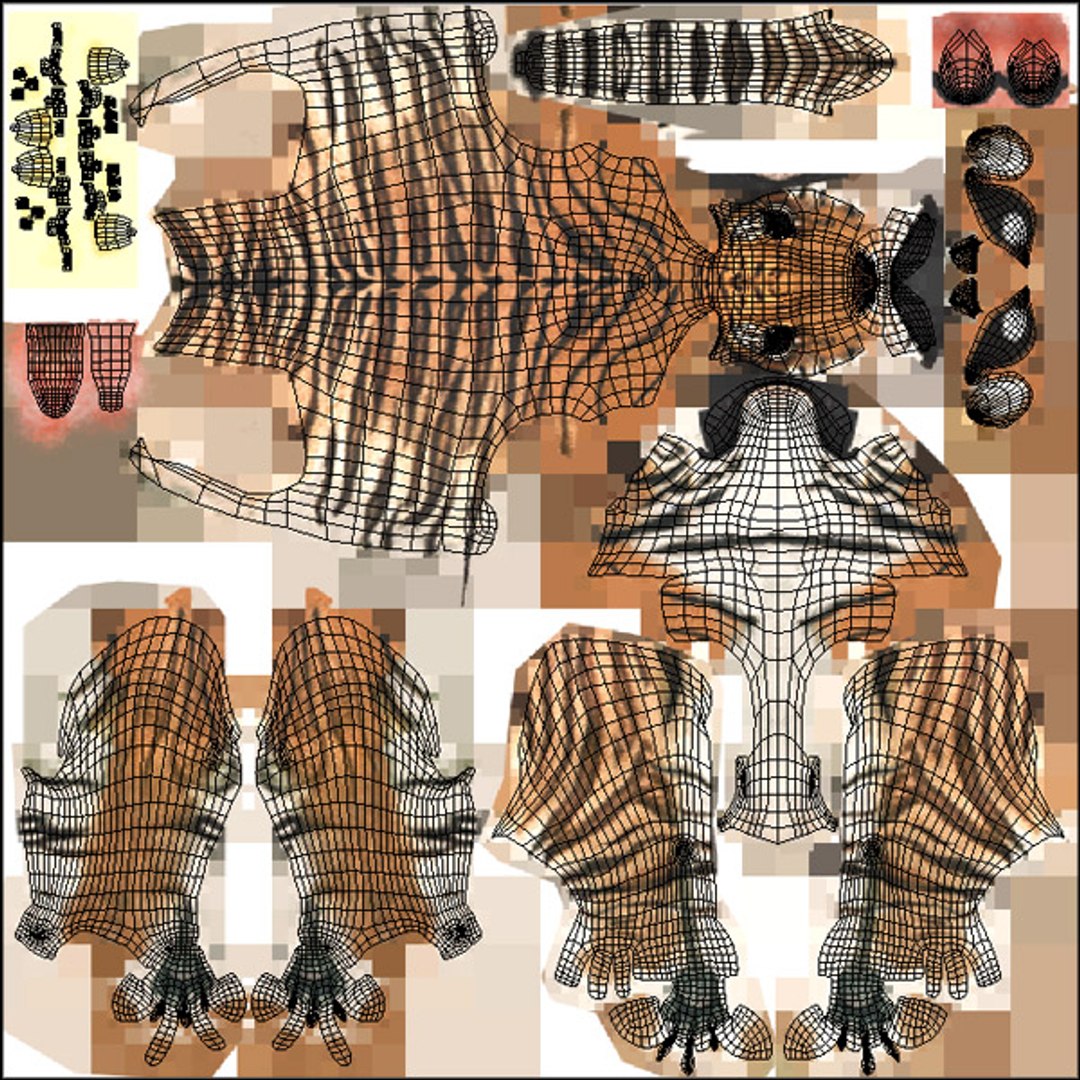 3d Tiger Shave Haircut