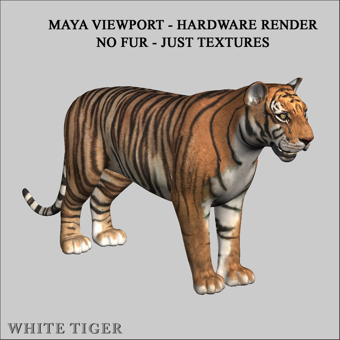 3d Tiger Shave Haircut