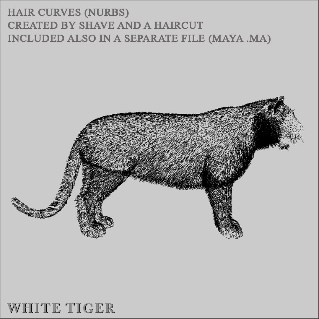 3d Tiger Shave Haircut