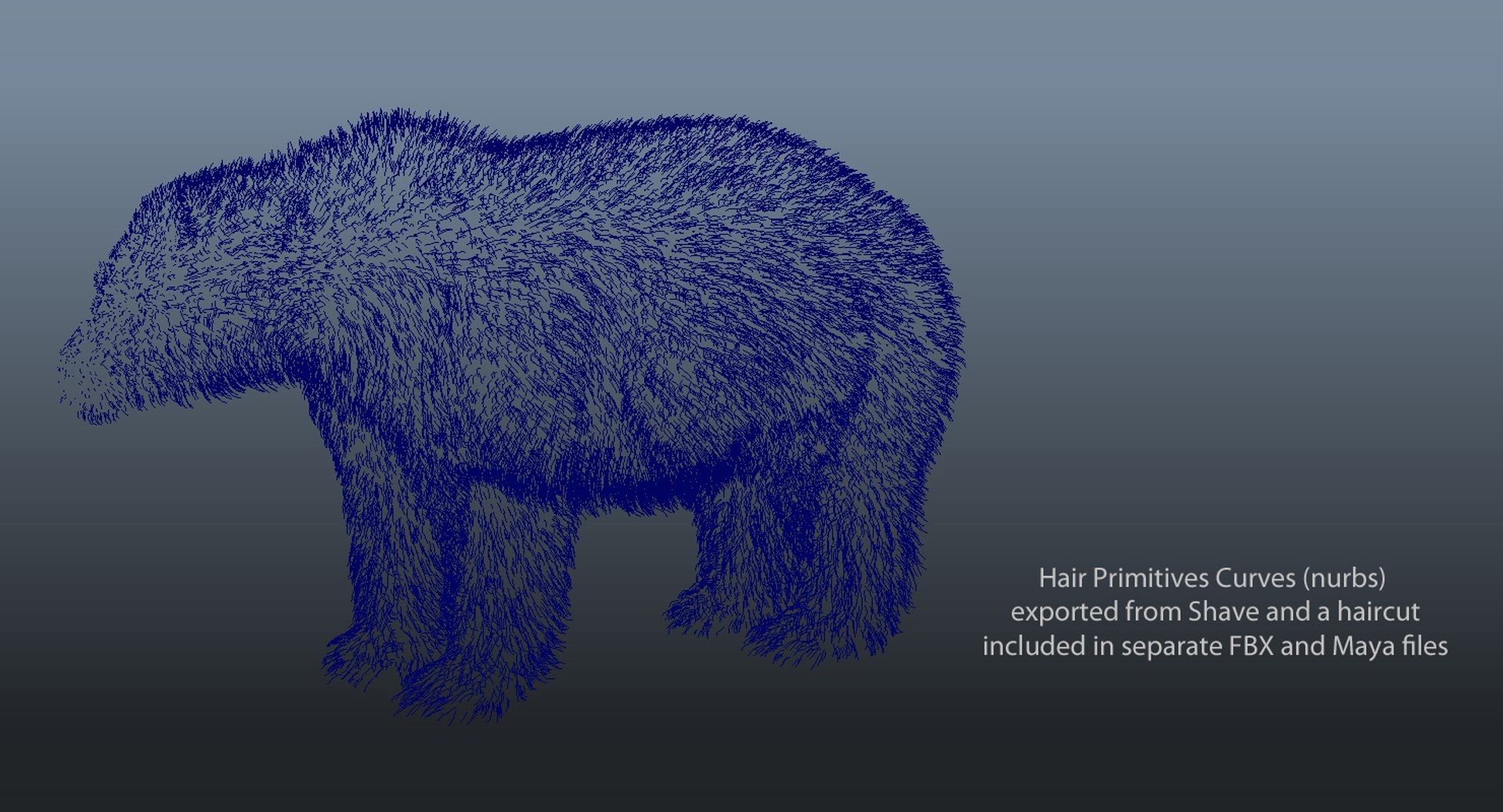 Bear 2 Fur Animation Ma