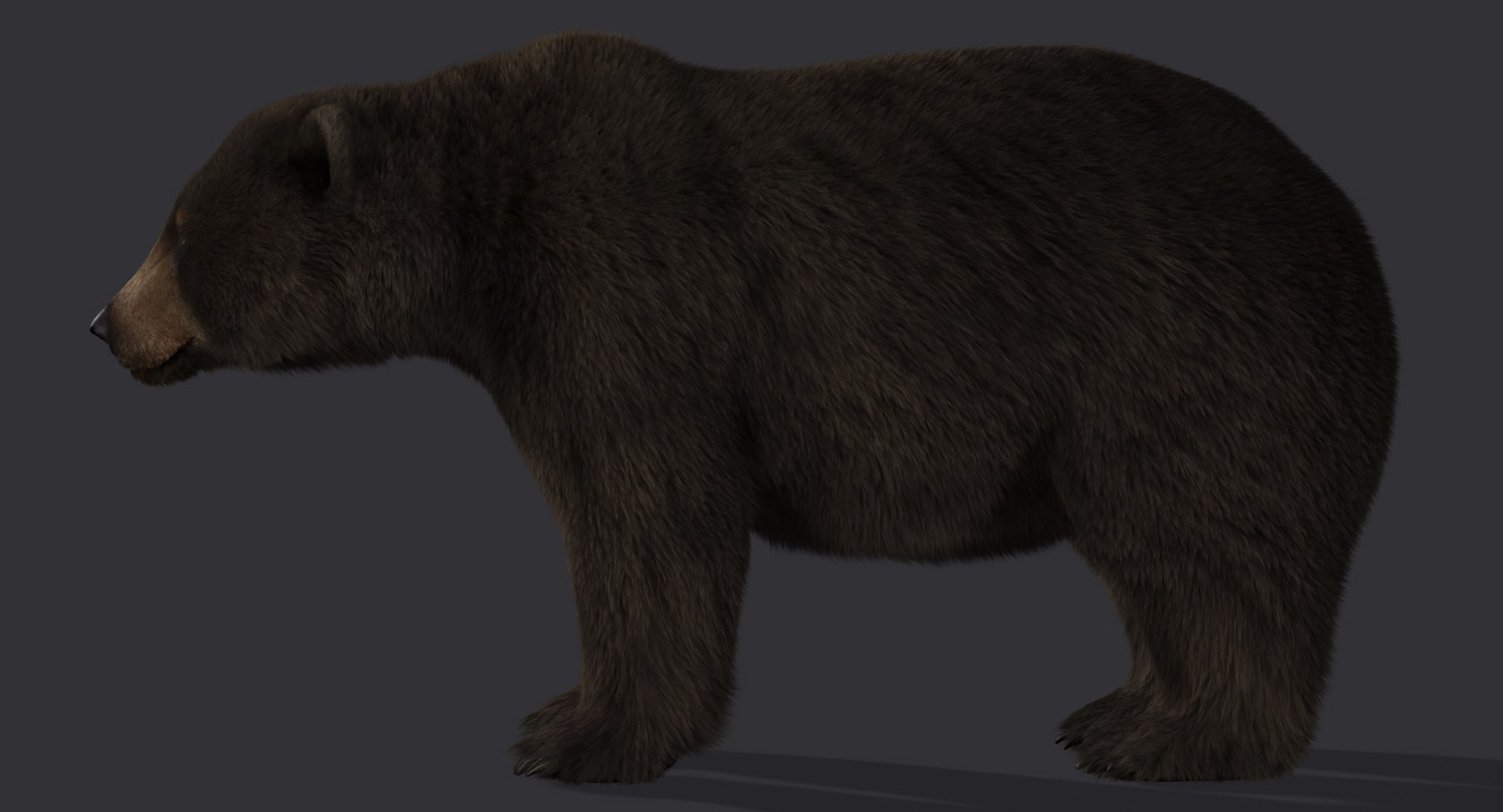 bear 2 fur animation ma