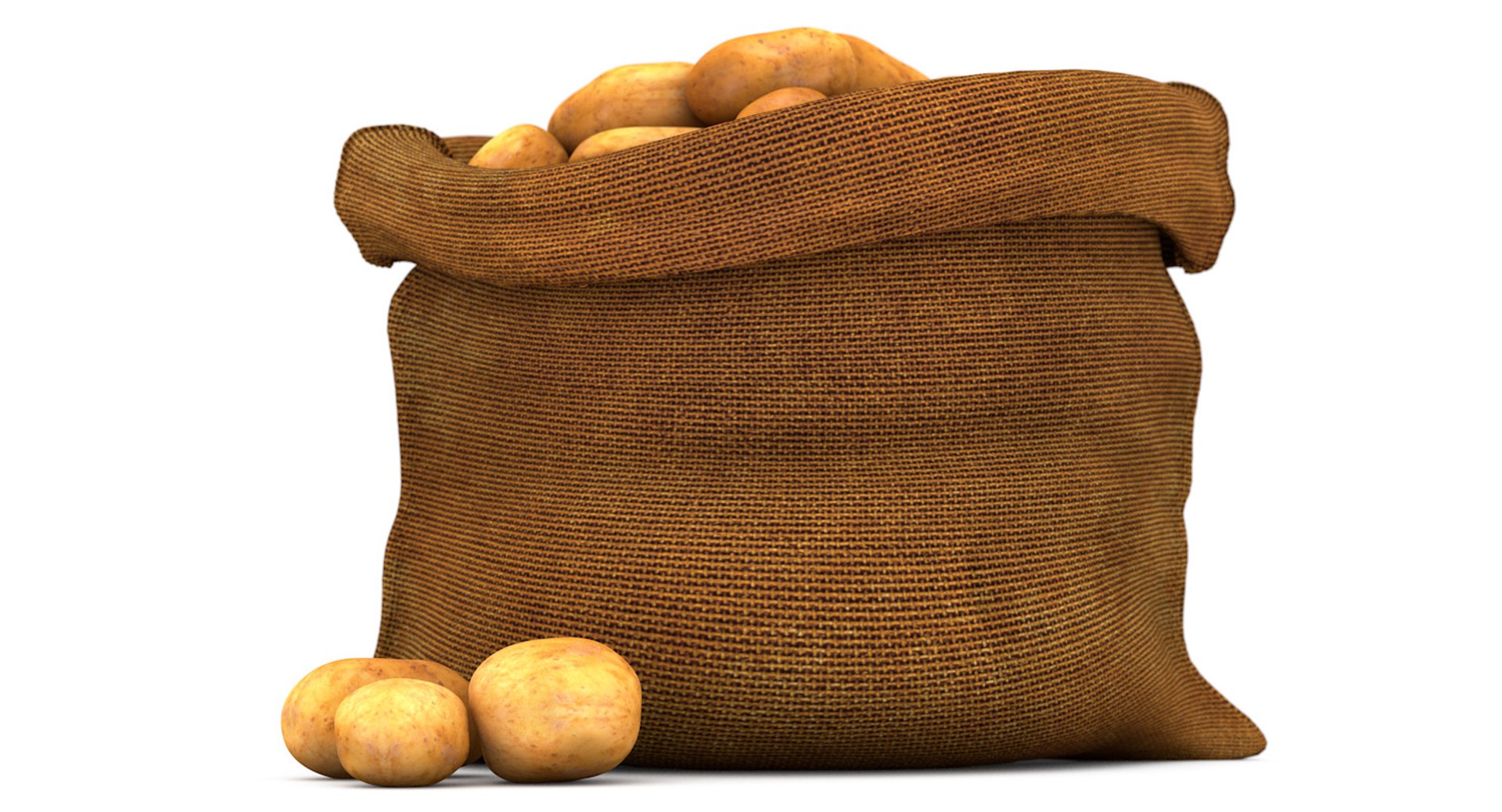 3d Modeled Sack Potatoes Model