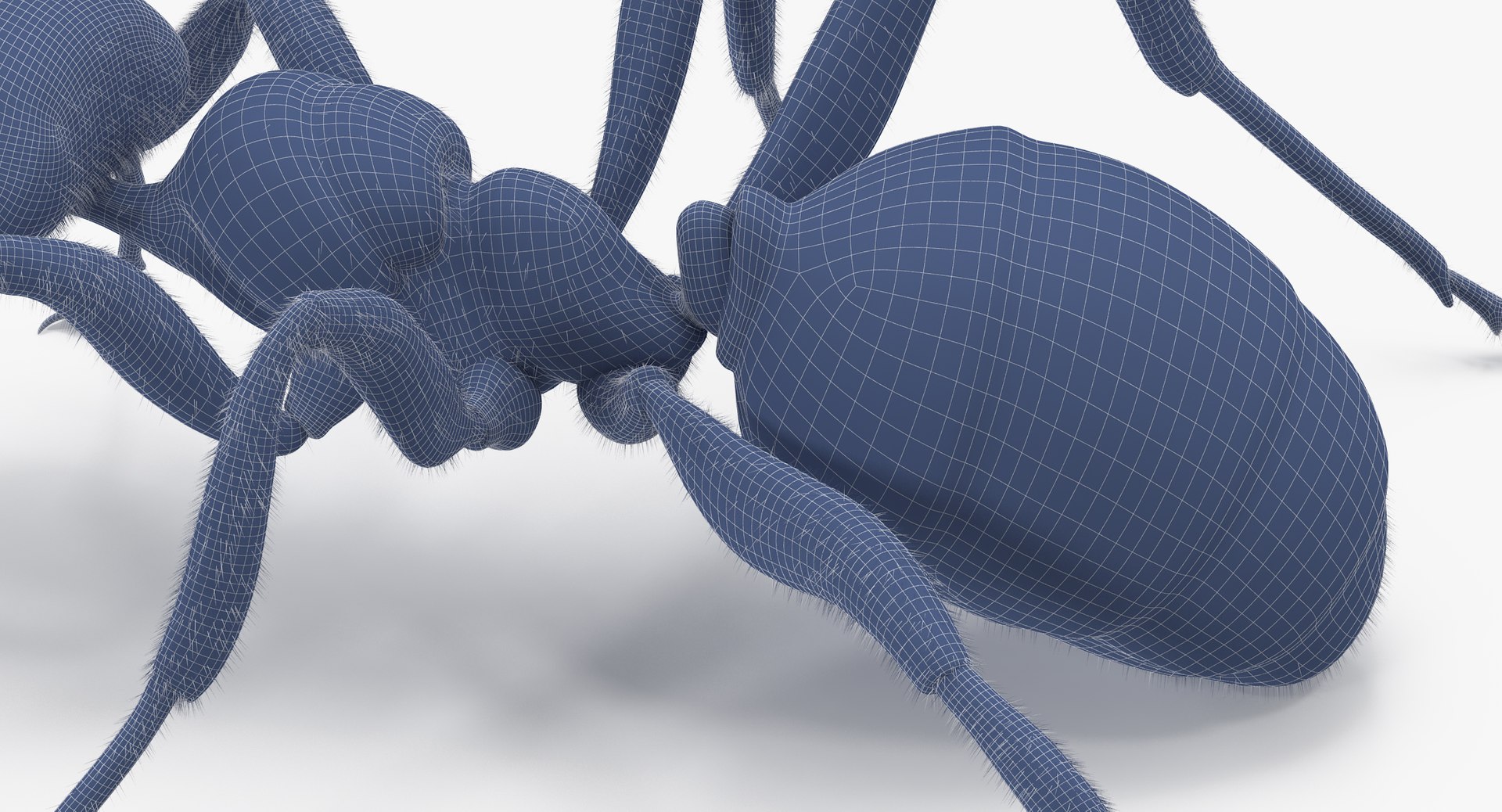 Ant 3d Max