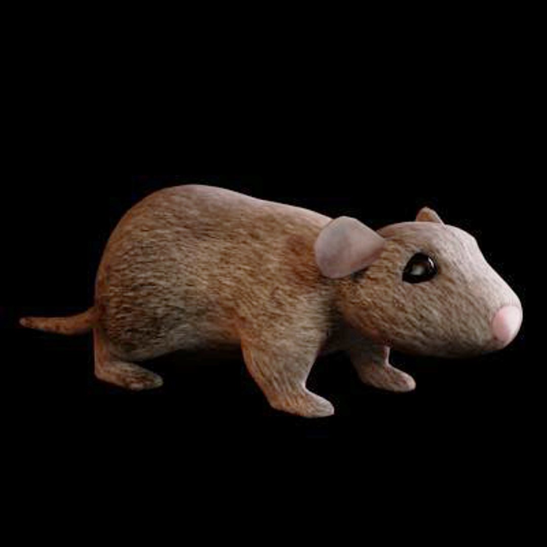 mouse 3d model
