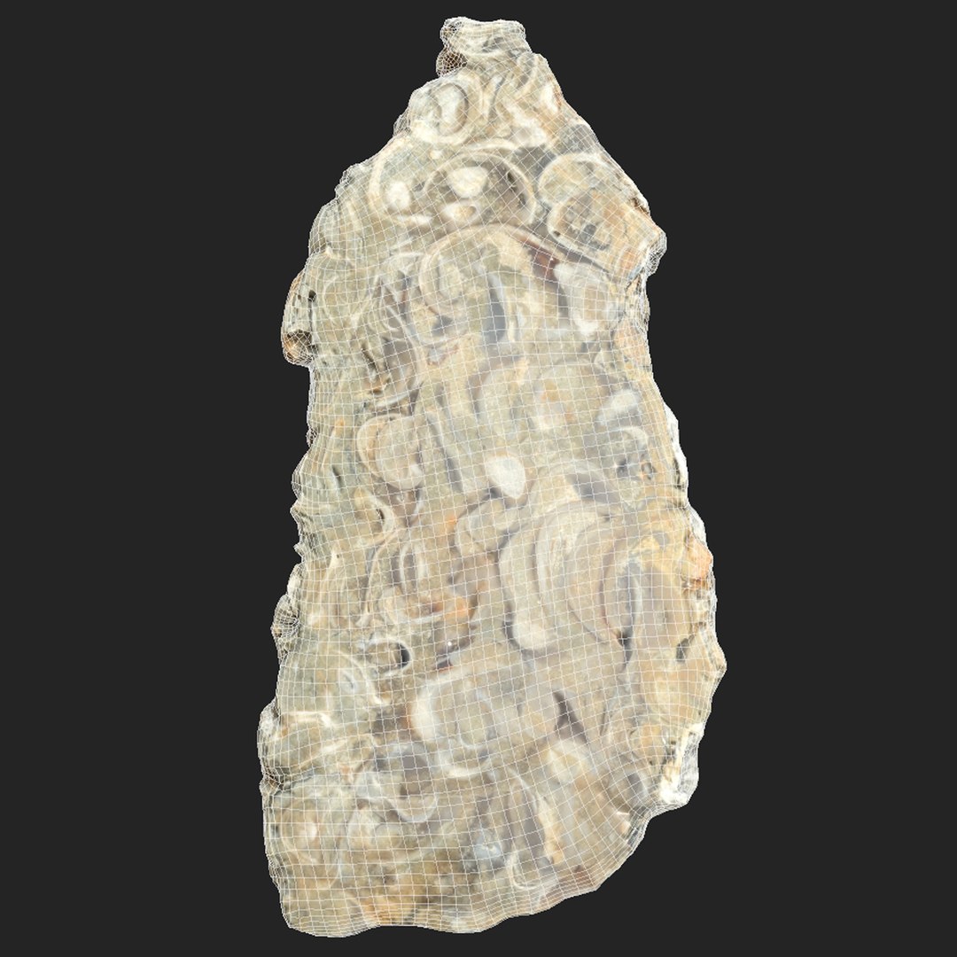 Chalcedony Metasomatite With Bivalve Molluscs Model - TurboSquid 2065528