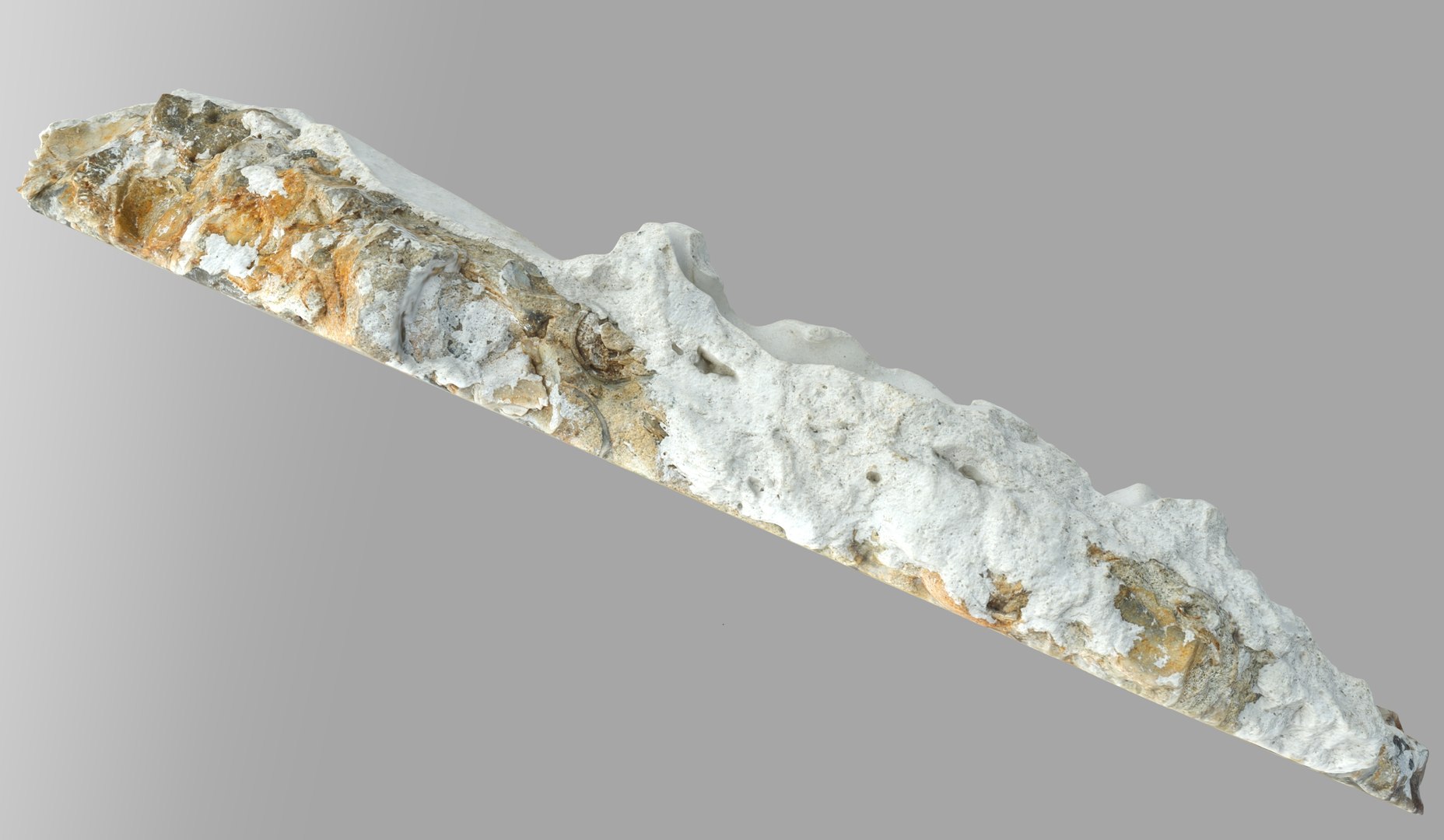 Chalcedony Metasomatite With Bivalve Molluscs Model - TurboSquid 2065528