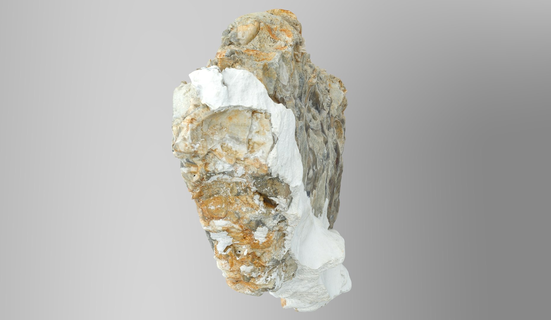 Chalcedony Metasomatite With Bivalve Molluscs Model - TurboSquid 2065528