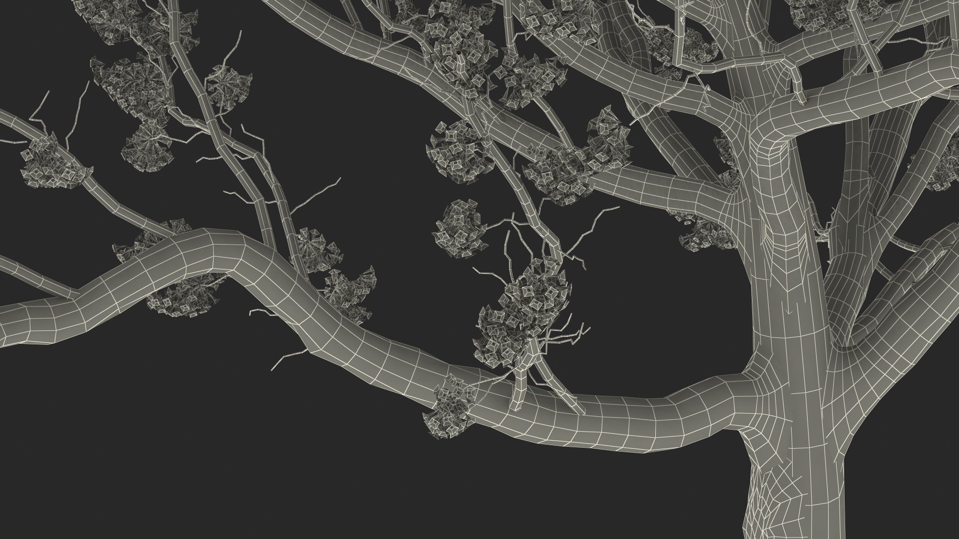 Blooming jacaranda tree leaves 3D model - TurboSquid 1498075