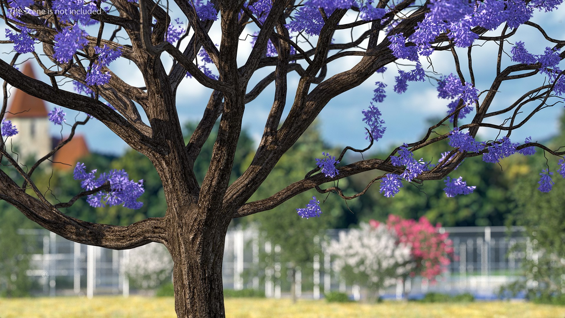 Blooming jacaranda tree leaves 3D model - TurboSquid 1498075
