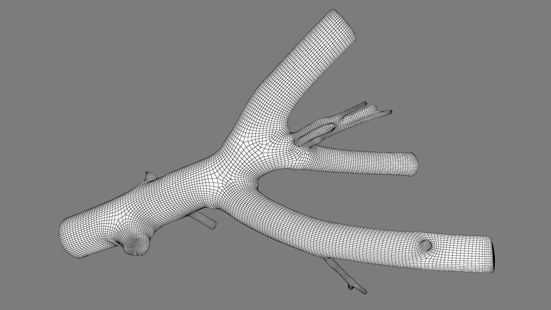 Twig Scanned 03 3D Model - TurboSquid 2088936