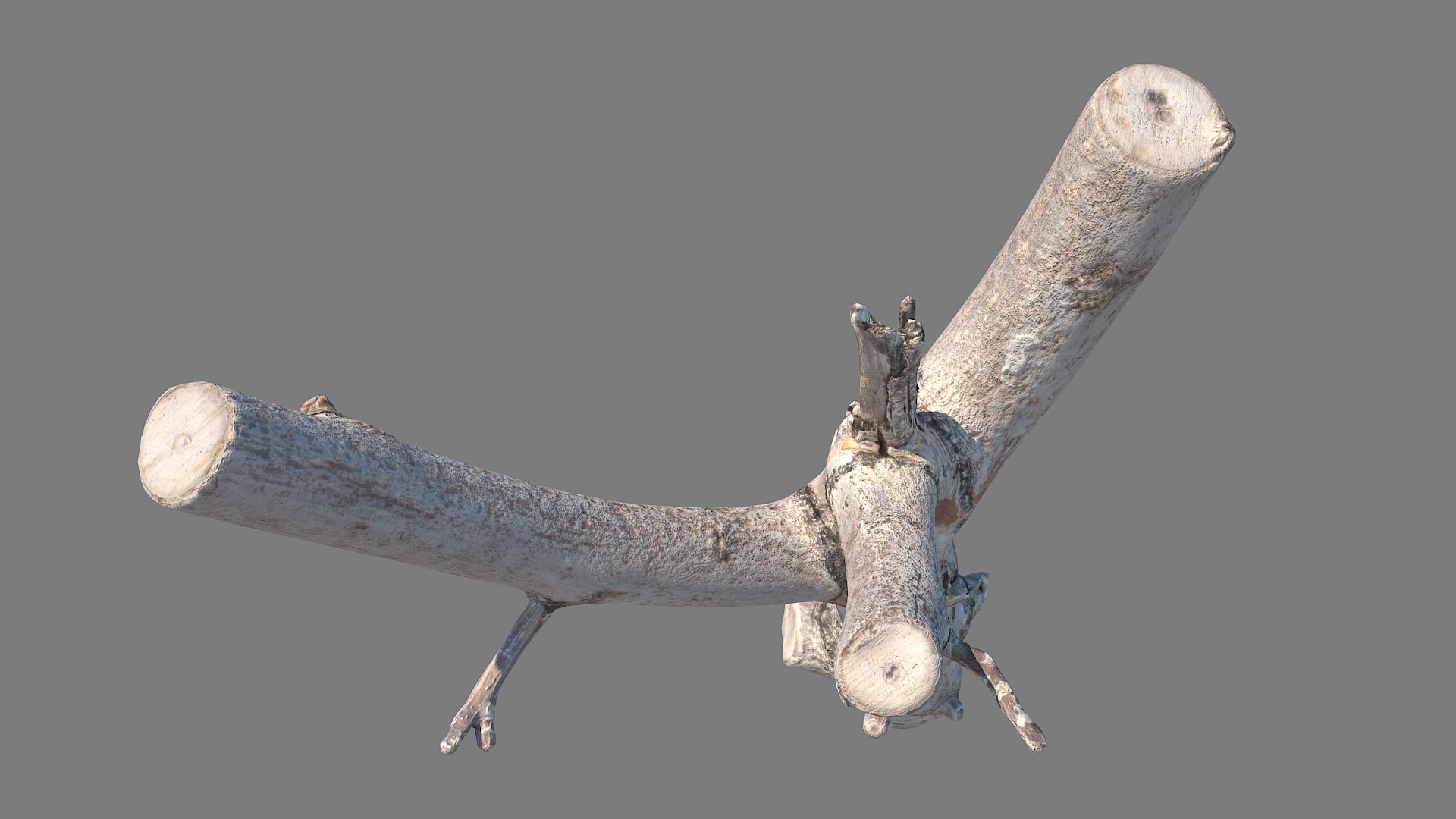 Twig Scanned 03 3D Model - TurboSquid 2088936