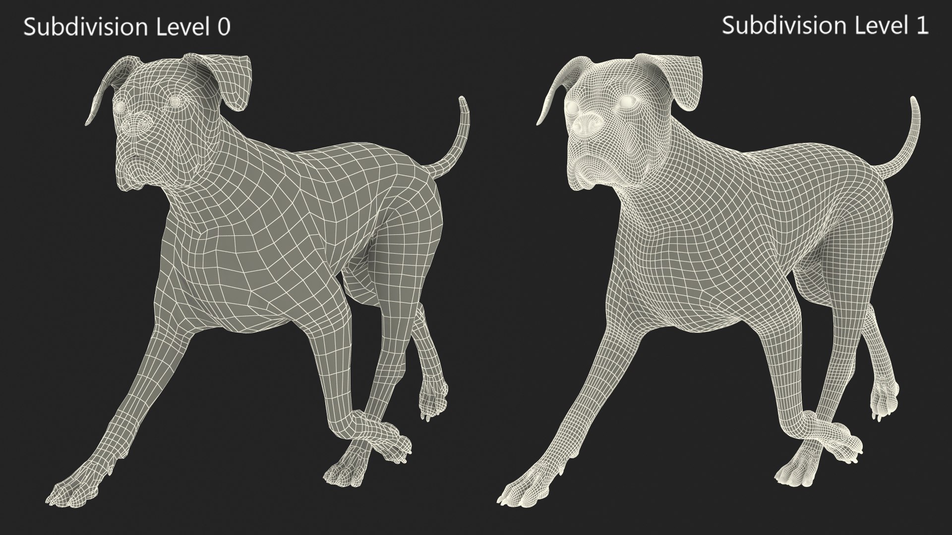 Running Dog Boxer 3D Model - TurboSquid 2250724