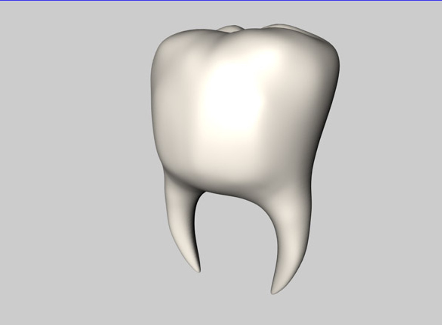 Teeth 3d Model