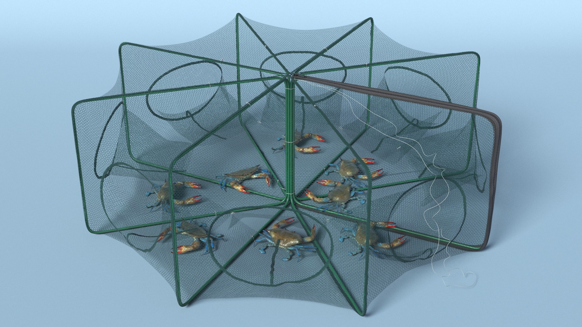 Collapsible Fishing Net Cage With Crawfish Inside 3D - TurboSquid 2383494