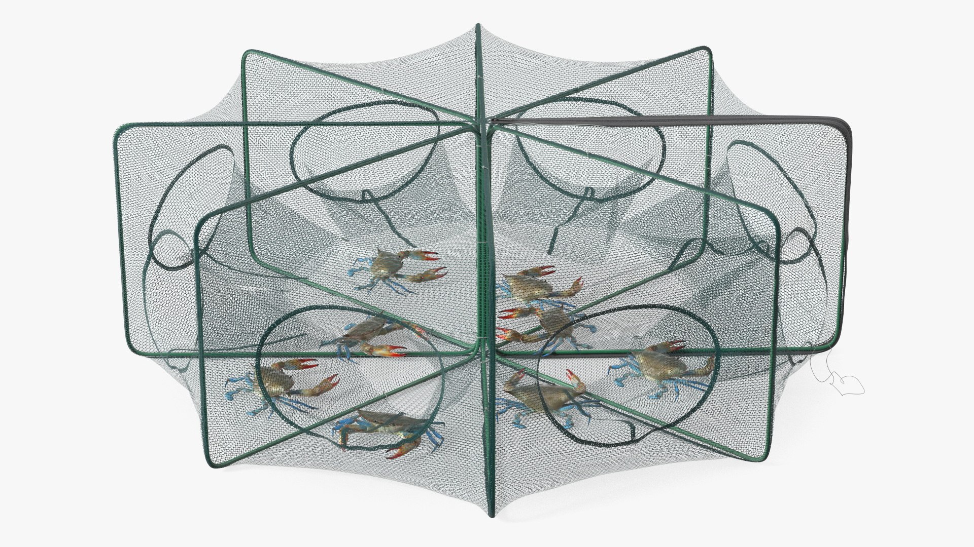 Collapsible Fishing Net Cage With Crawfish Inside 3D - TurboSquid 2383494