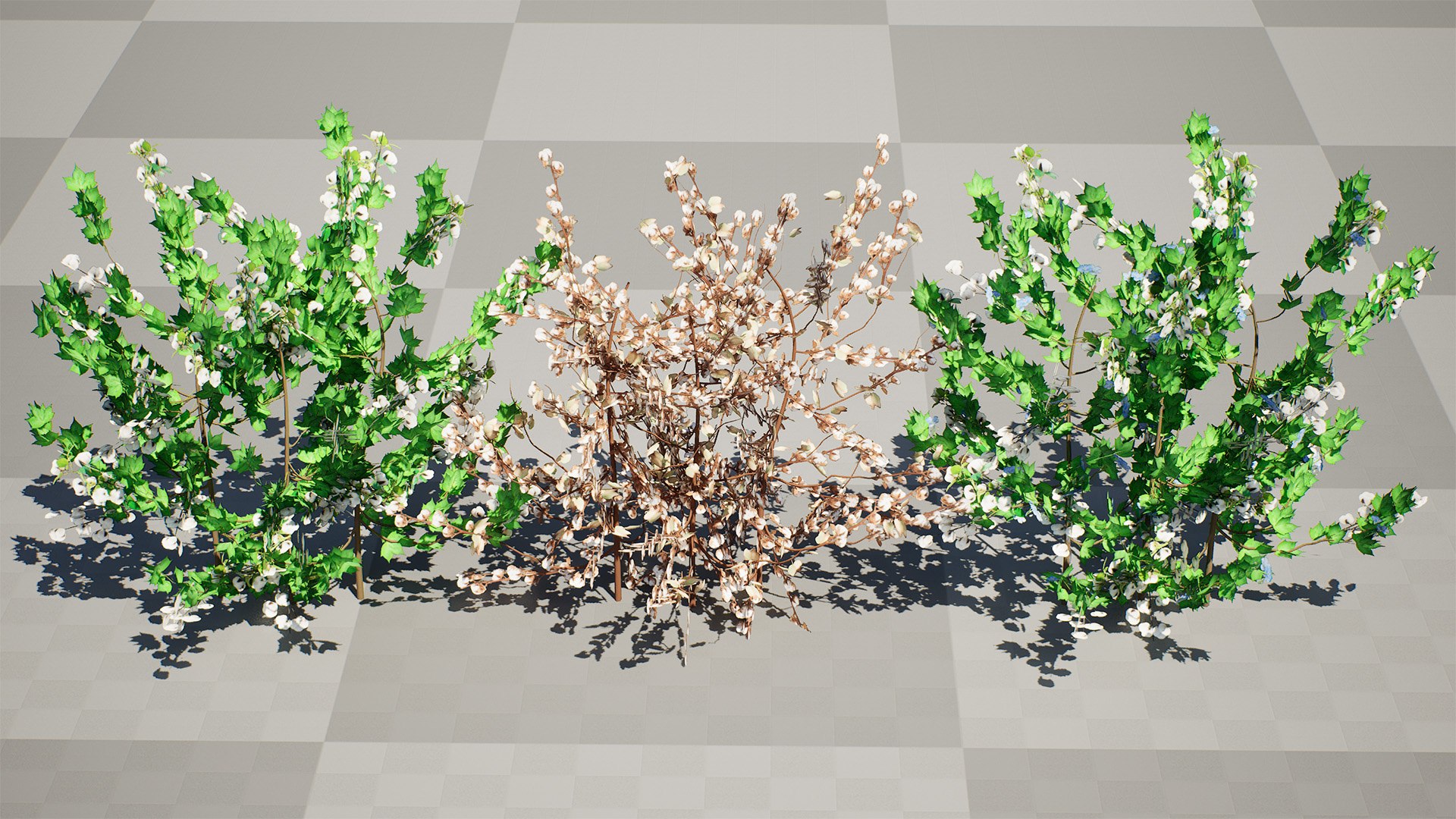 3D Realistic Cotton Plant Model - TurboSquid 2325980