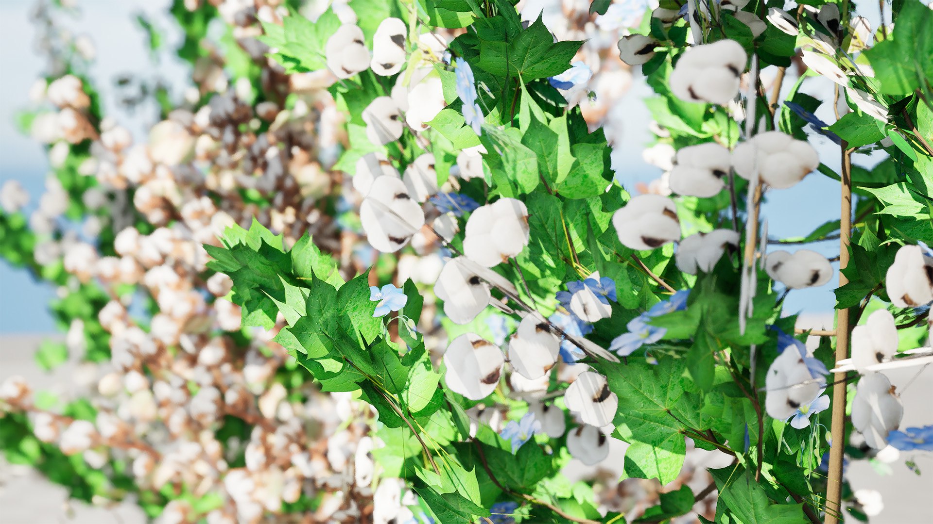 3D Realistic Cotton Plant Model - TurboSquid 2325980