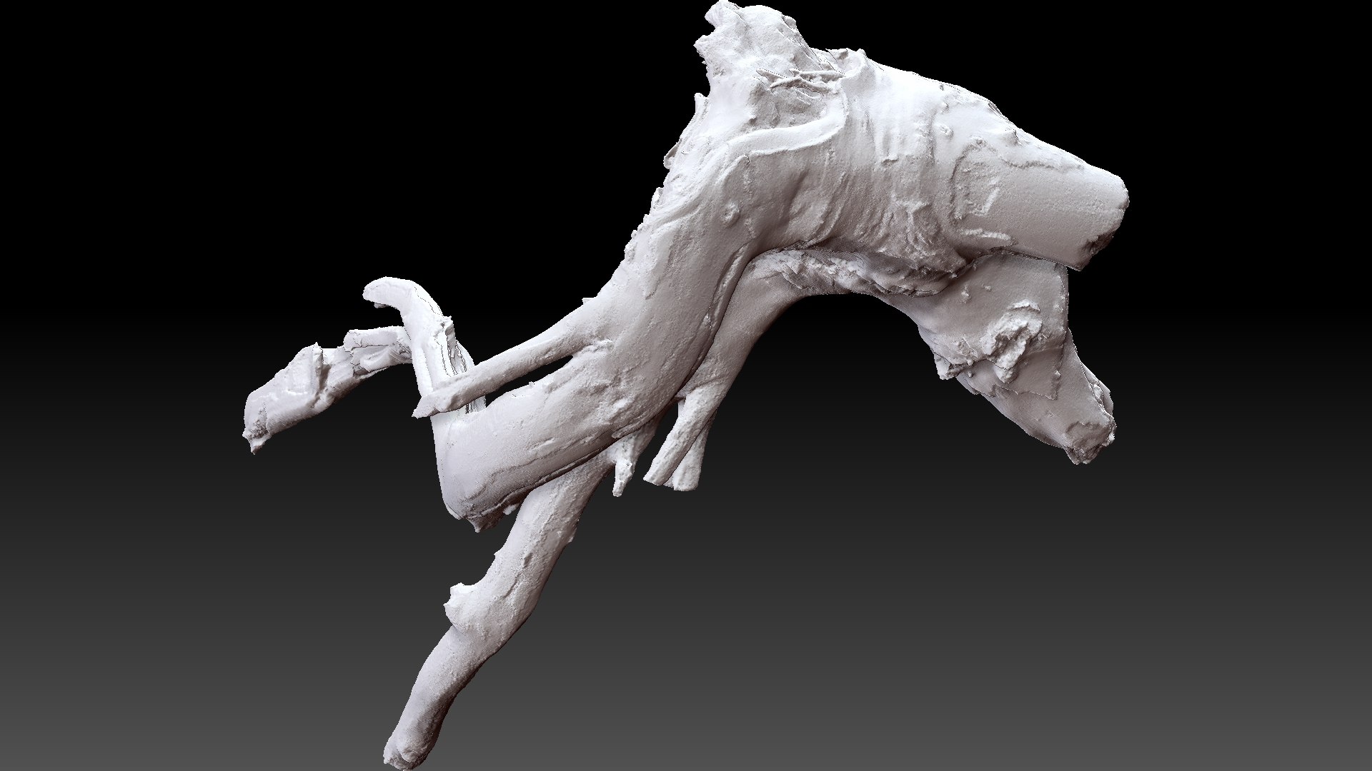 Tree Root 3D Scan In Highpoly 3D - TurboSquid 2224465