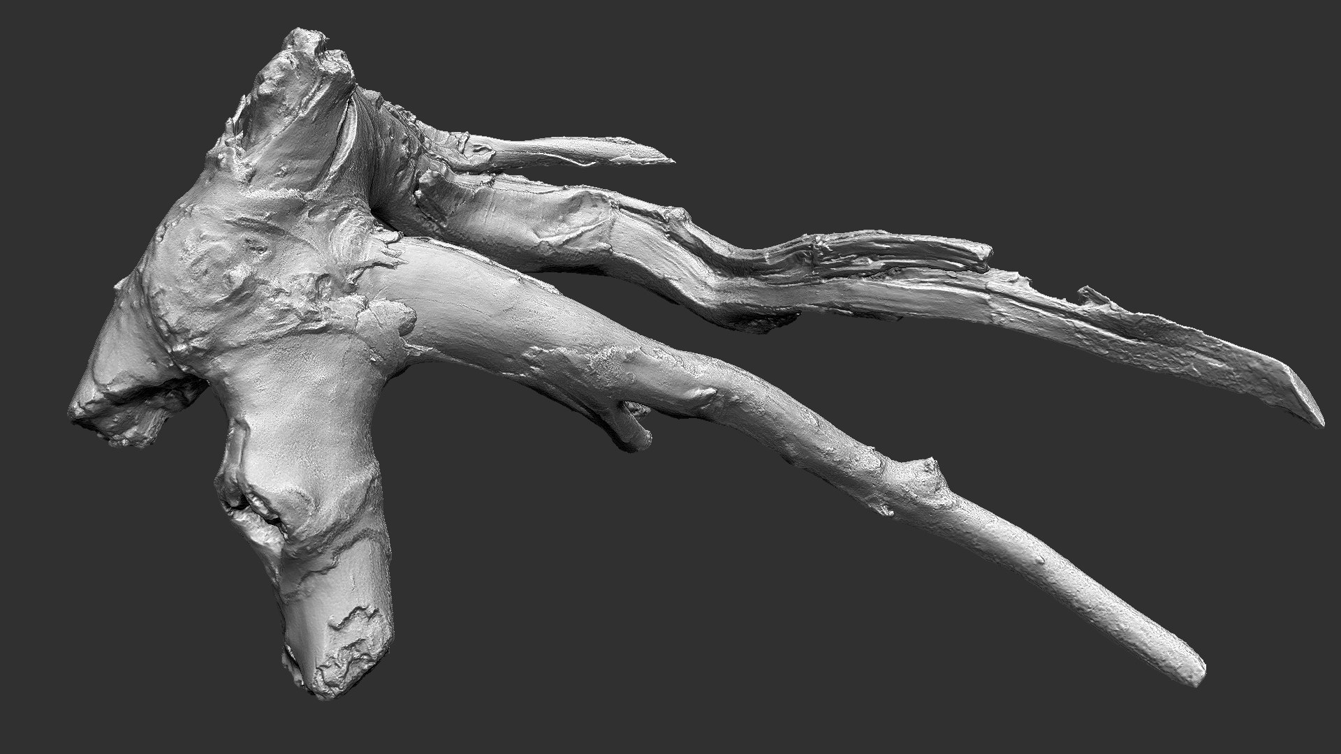 Tree Root 3D Scan In Highpoly 3D - TurboSquid 2224465