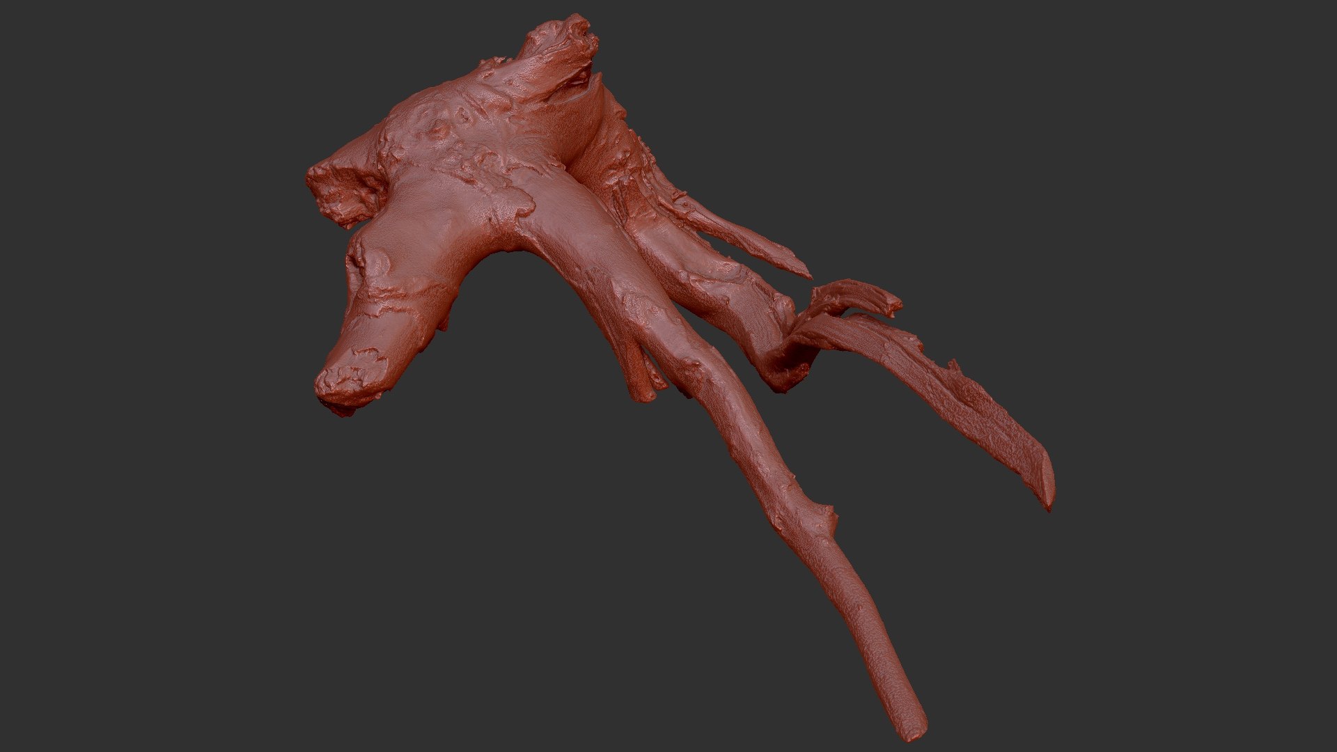 Tree Root 3D Scan In Highpoly 3D - TurboSquid 2224465