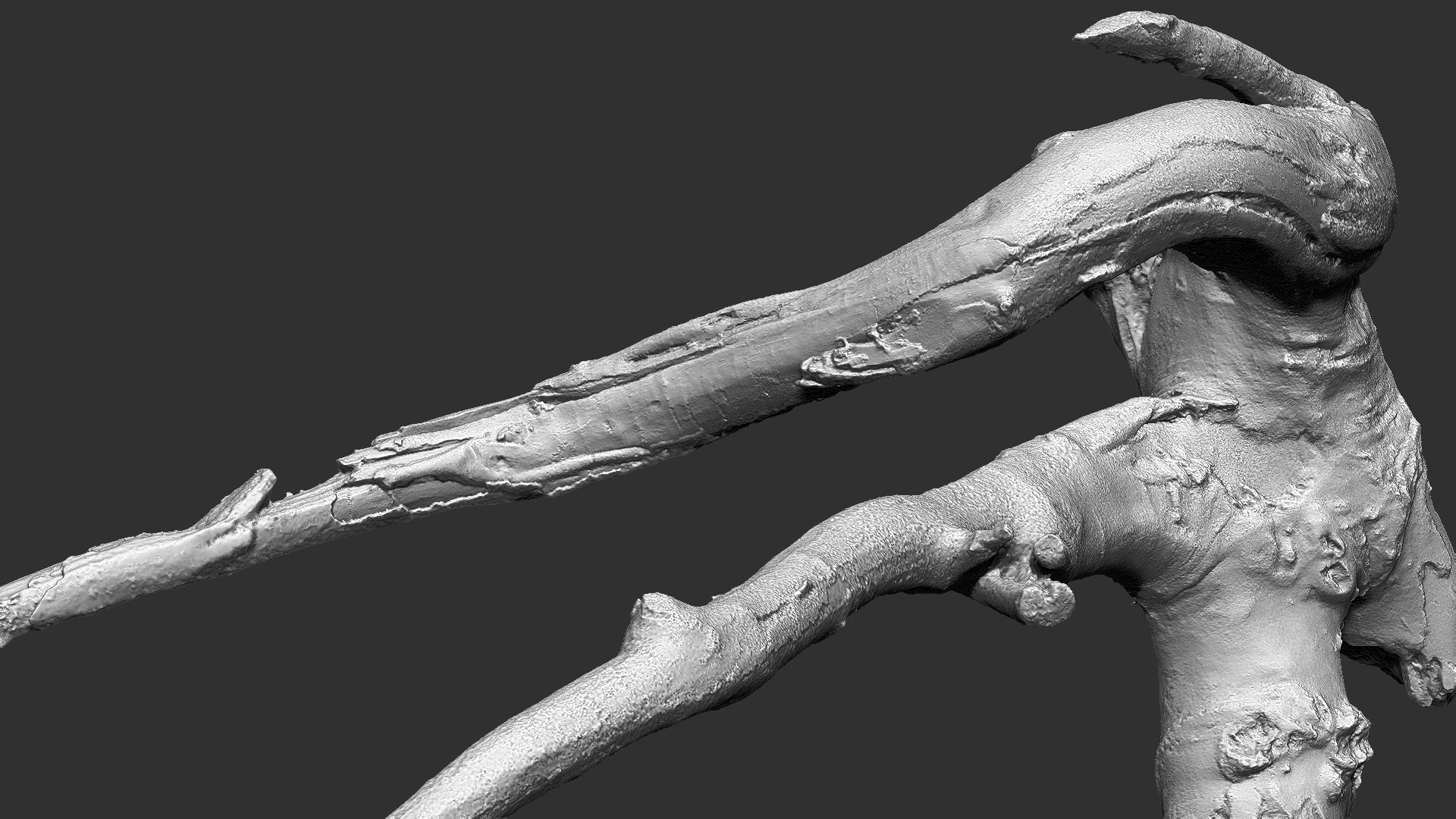Tree Root 3D Scan In Highpoly 3D - TurboSquid 2224465