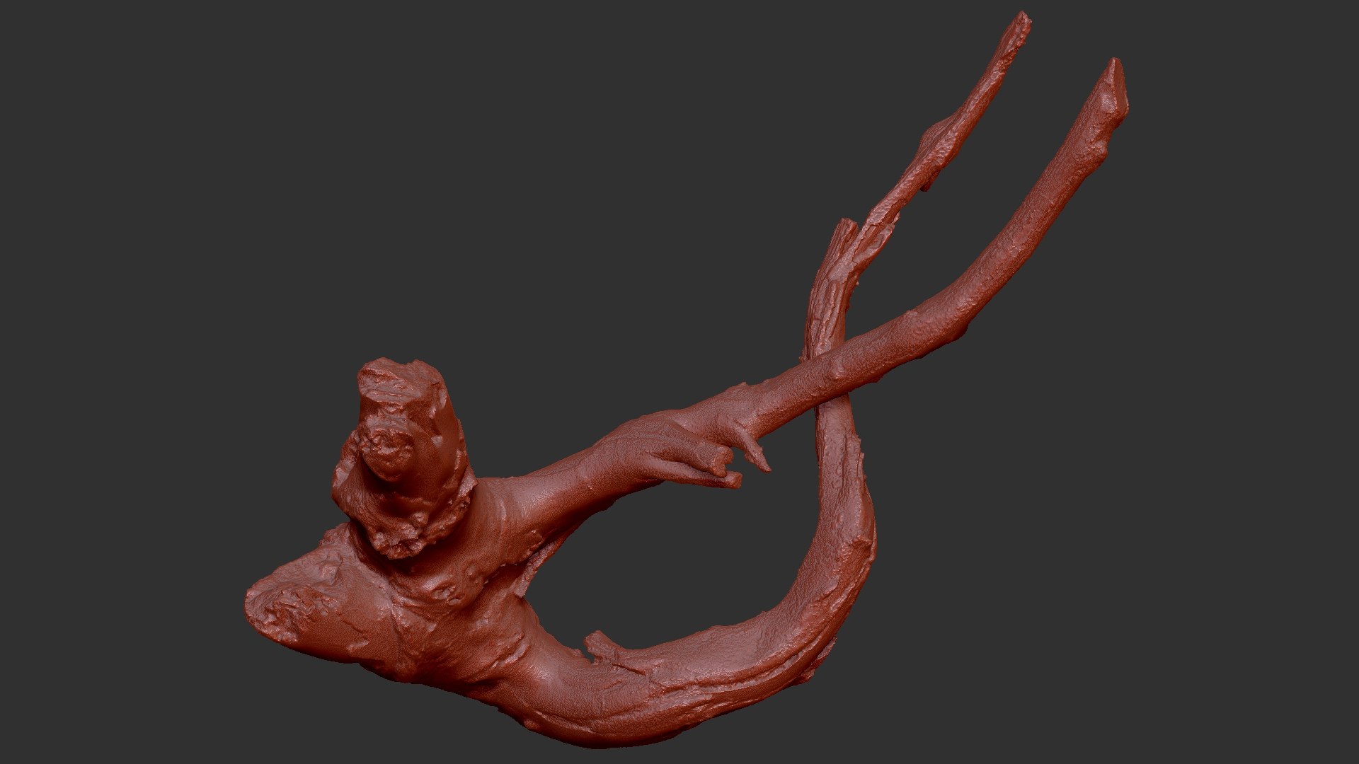 Tree Root 3D Scan In Highpoly 3D - TurboSquid 2224465