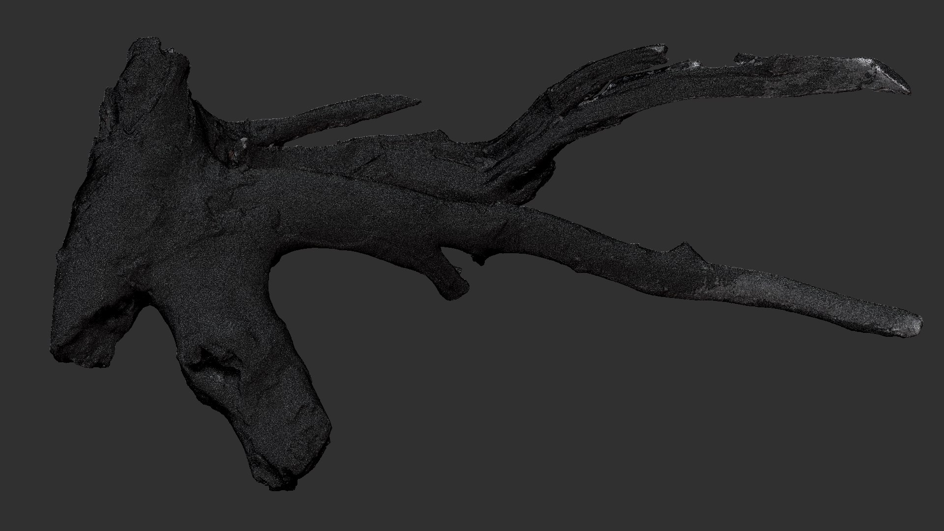 Tree Root 3D Scan In Highpoly 3D - TurboSquid 2224465