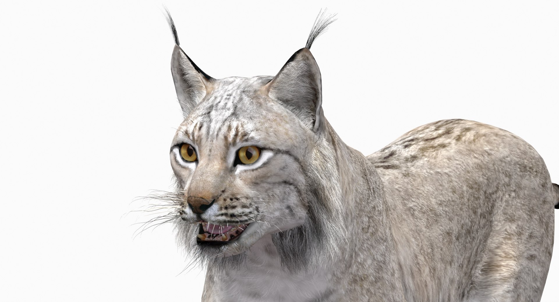 Lynx White Rigging Animation 3d Max