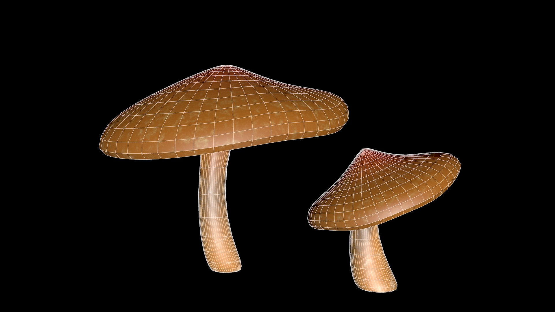 Mushroom Fungus Nature 3D Model - TurboSquid 1679935