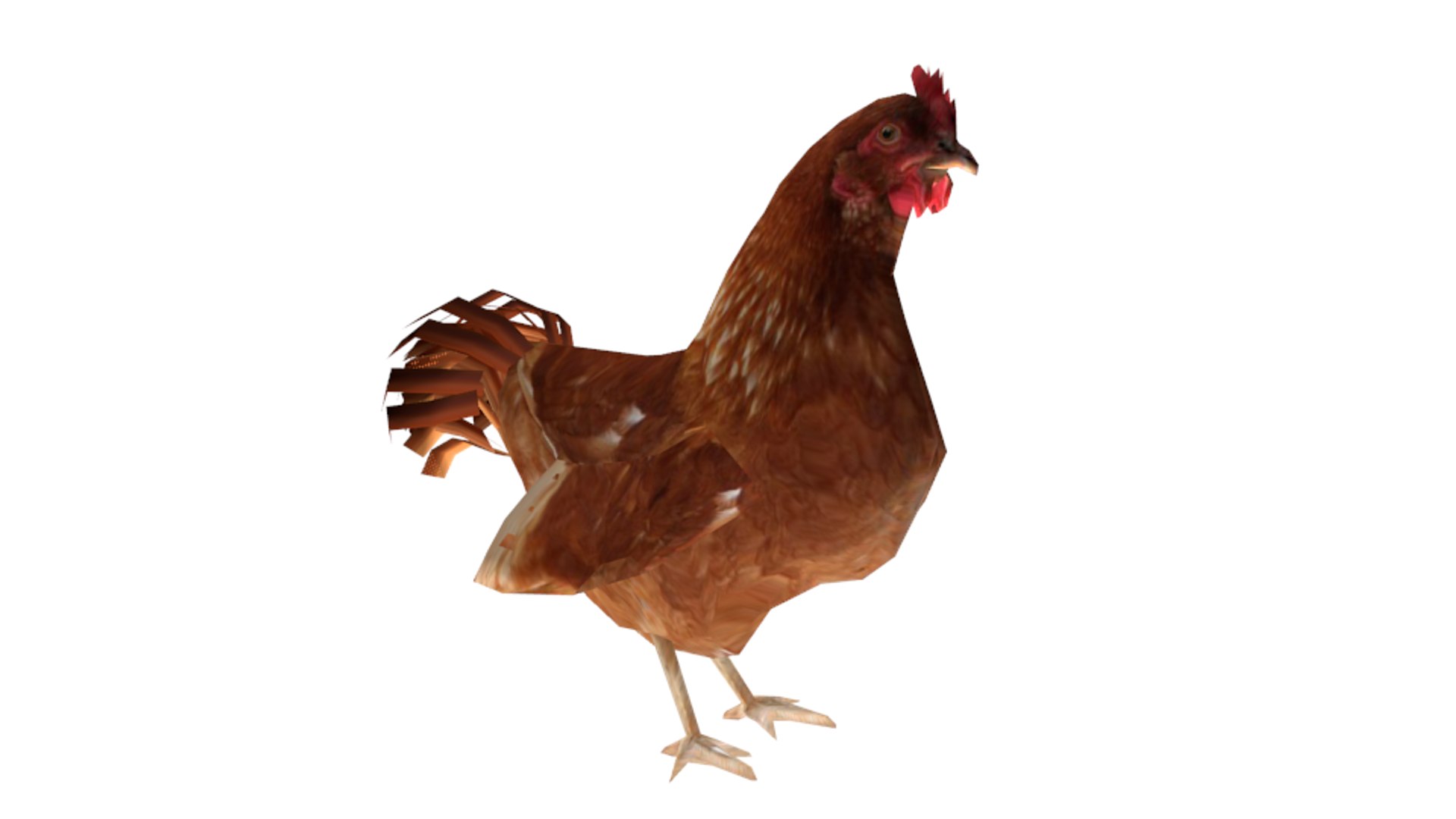Low-poly Chicken Hen Rooster 3D Model - TurboSquid 1206984