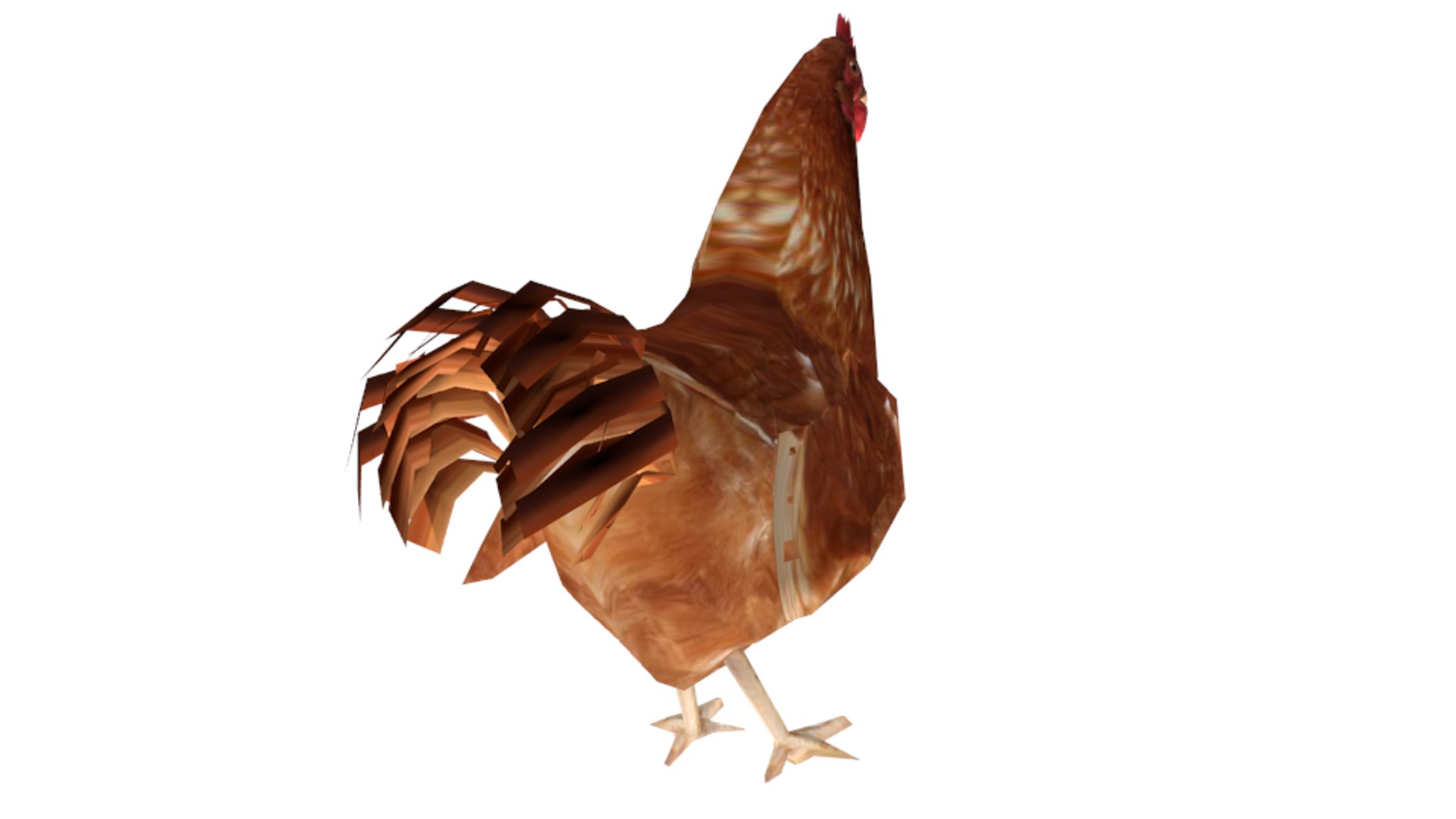 Low-poly Chicken Hen Rooster 3D Model - TurboSquid 1206984