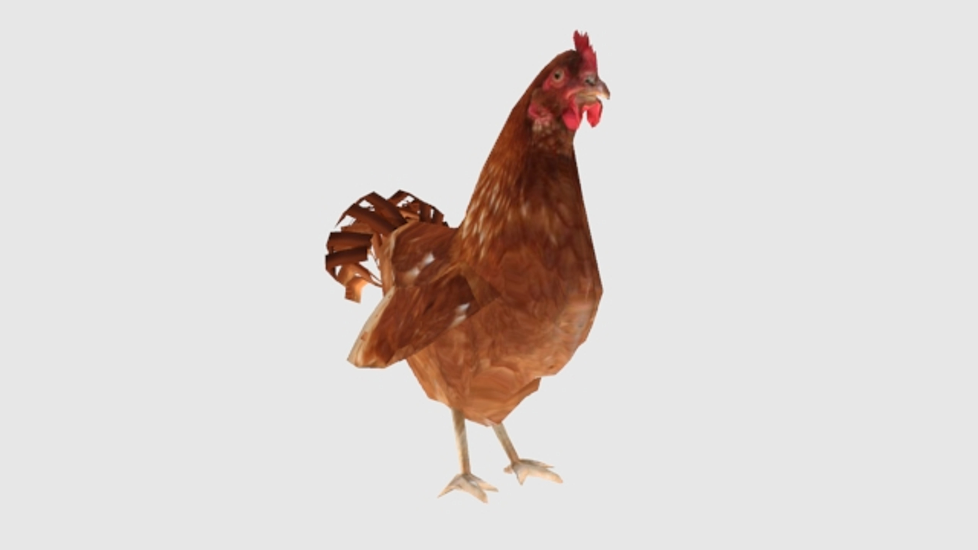Low-poly Chicken Hen Rooster 3D Model - TurboSquid 1206984