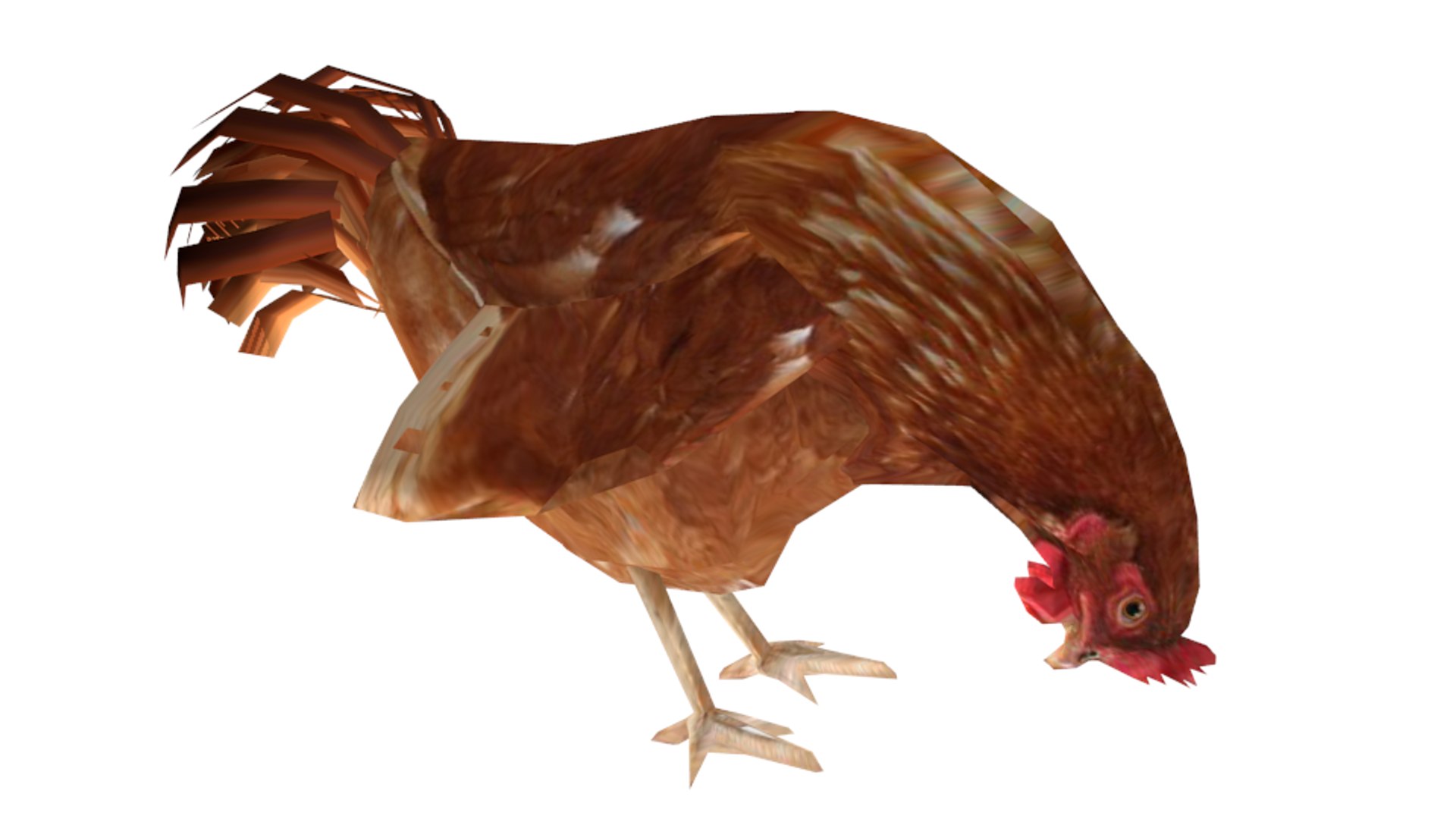 Low-poly Chicken Hen Rooster 3D Model - TurboSquid 1206984