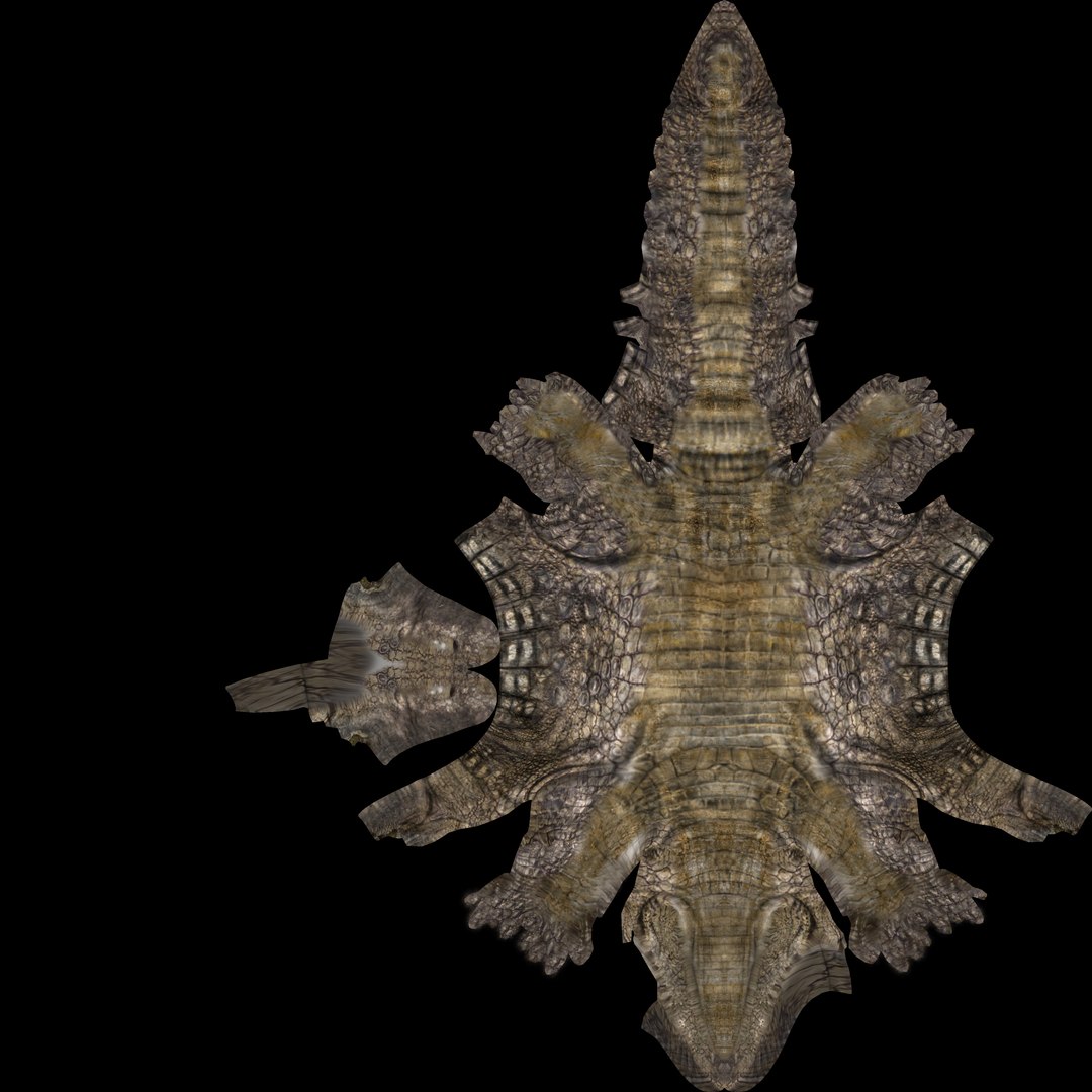 Crocodile rigging model - TurboSquid 1193543