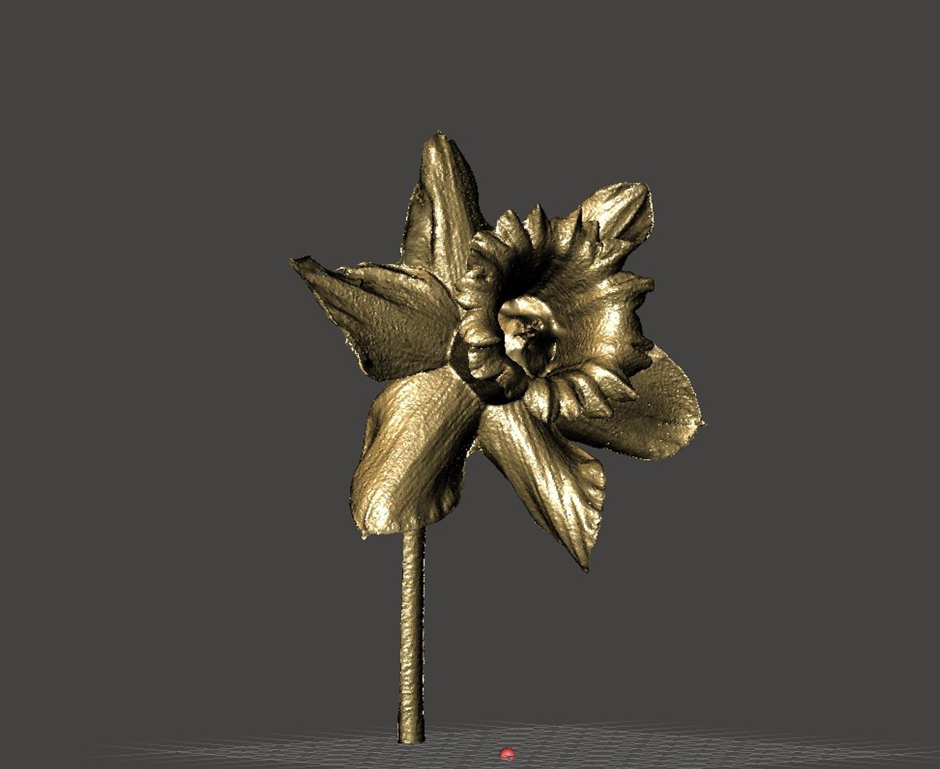 3D Daffodil - TurboSquid 1314666