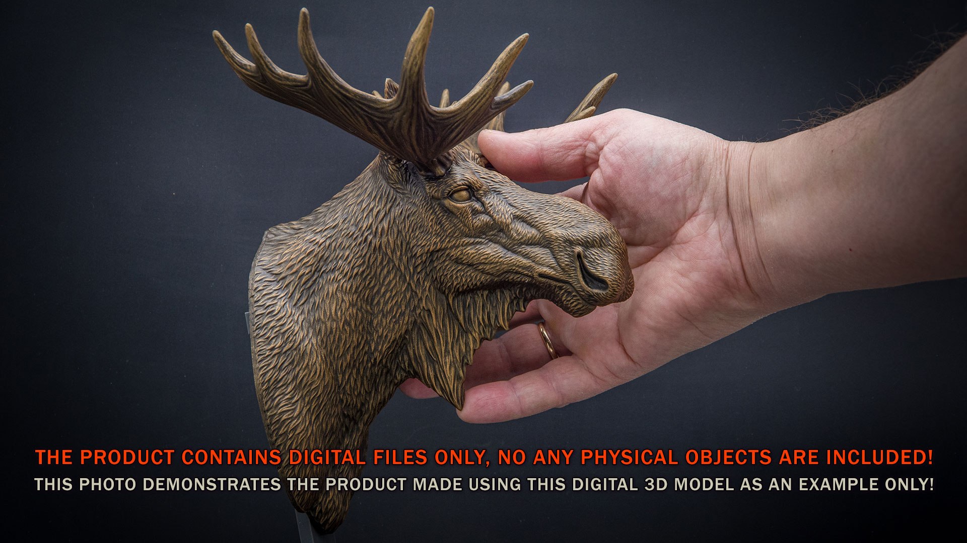 HQ Moose Bull Head Sculpture STL 3D Model - TurboSquid 1991208