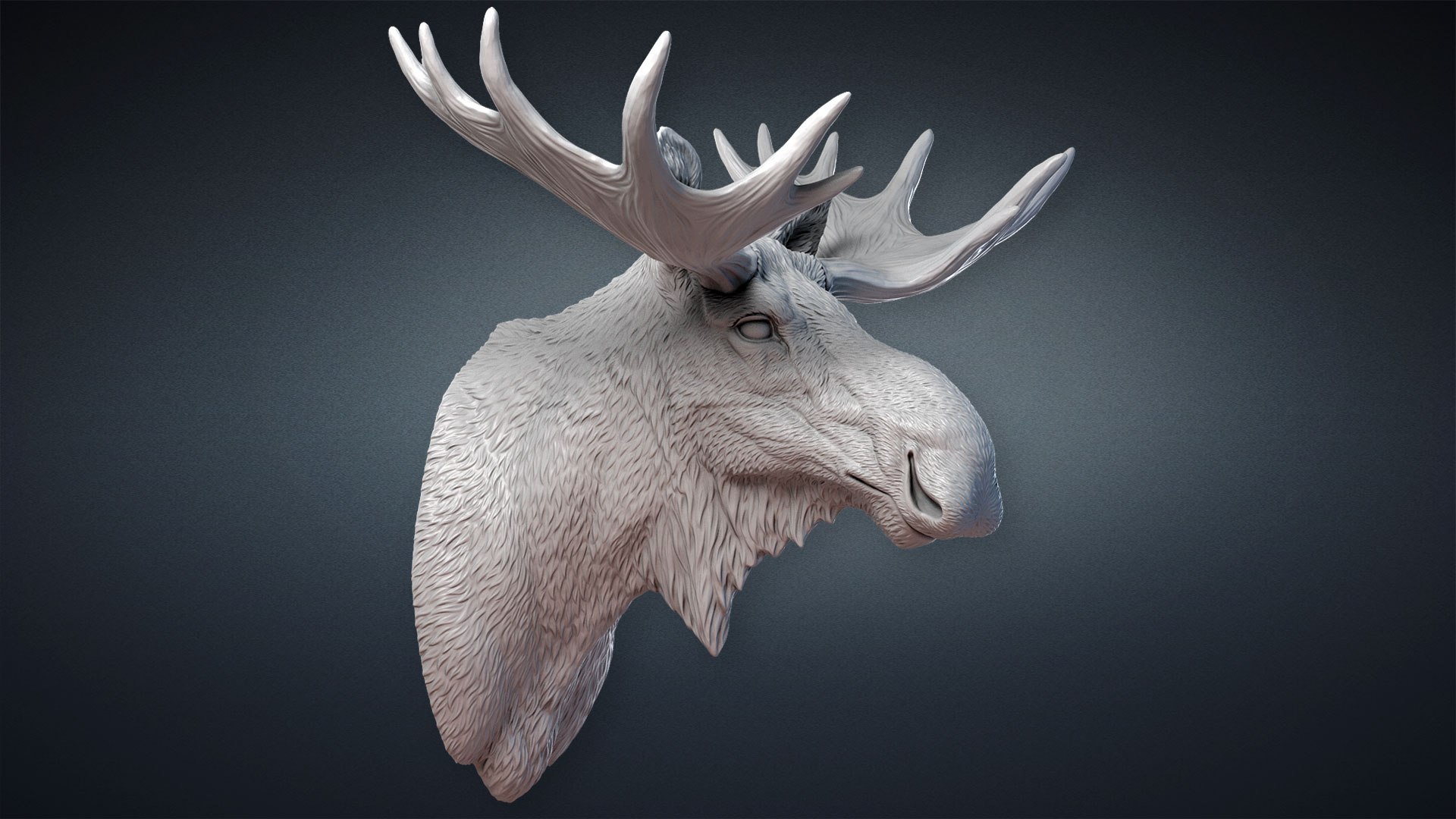 HQ Moose Bull Head Sculpture STL 3D Model - TurboSquid 1991208