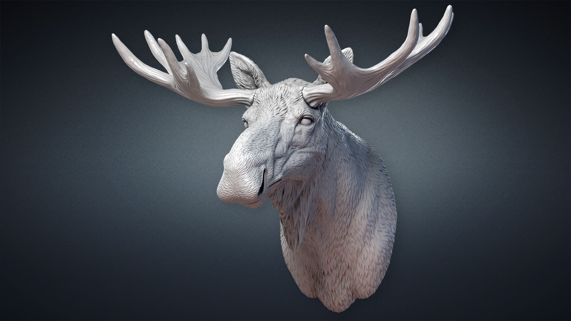 HQ Moose Bull Head Sculpture STL 3D Model - TurboSquid 1991208