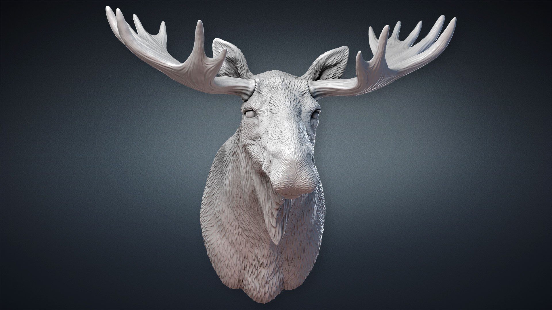 HQ Moose Bull Head Sculpture STL 3D Model - TurboSquid 1991208