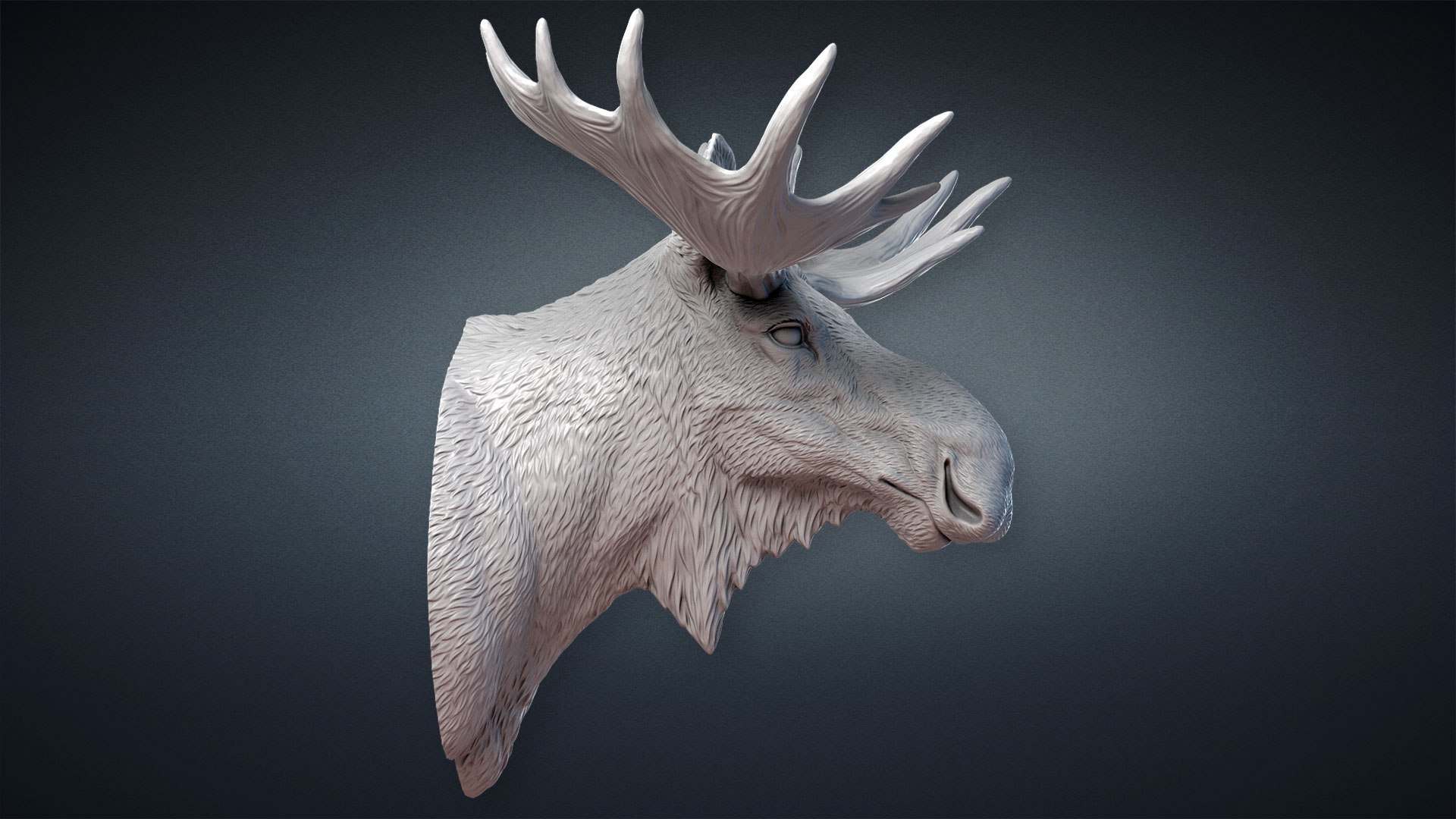 HQ Moose Bull Head Sculpture STL 3D Model - TurboSquid 1991208