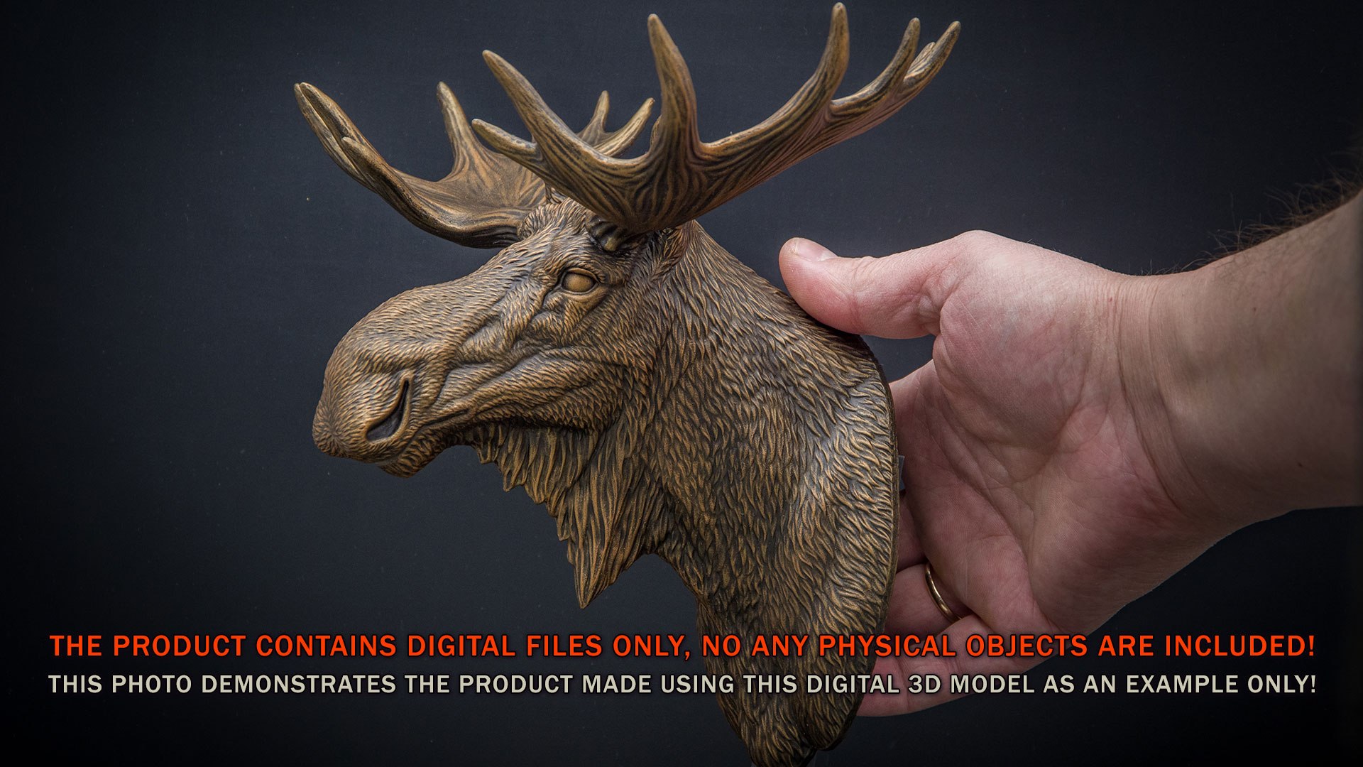 HQ Moose Bull Head Sculpture STL 3D Model - TurboSquid 1991208
