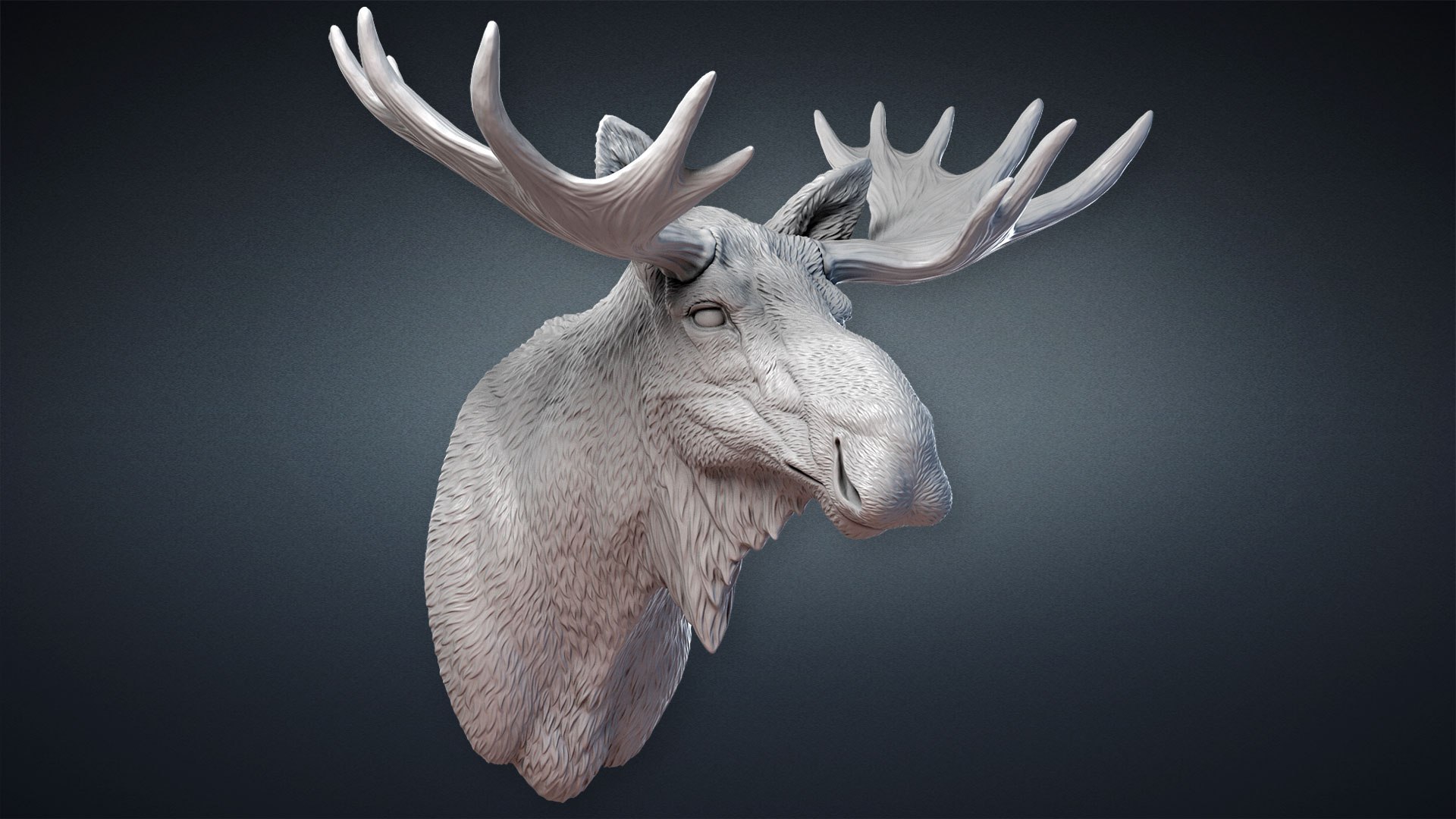 HQ Moose Bull Head Sculpture STL 3D Model - TurboSquid 1991208