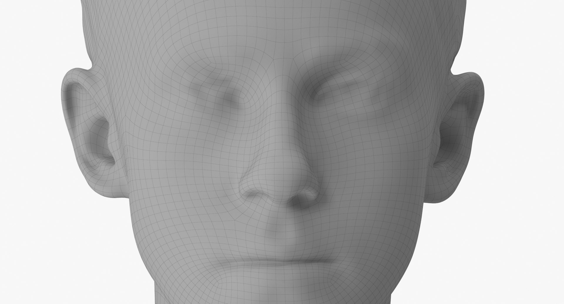 Rhea human head jaw model - TurboSquid 1658637
