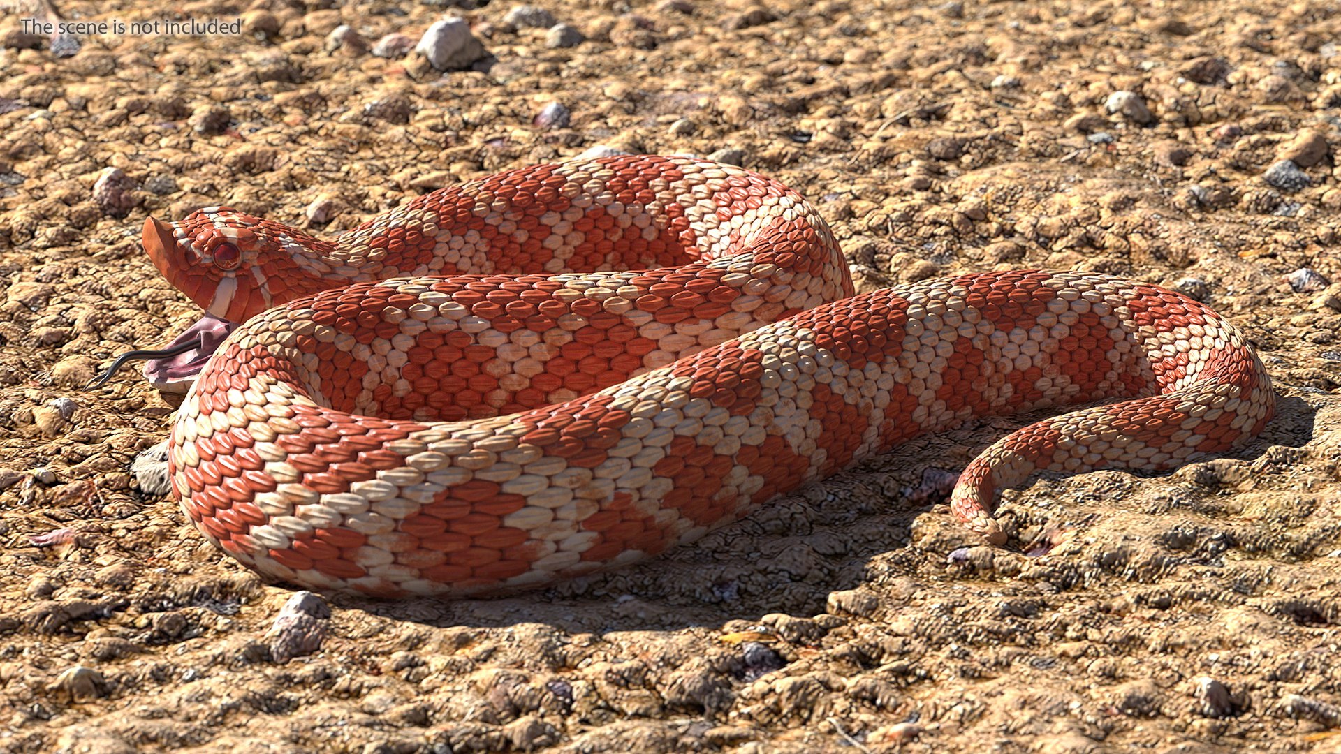 3D Red Hognose Snake Attack - TurboSquid 1476290