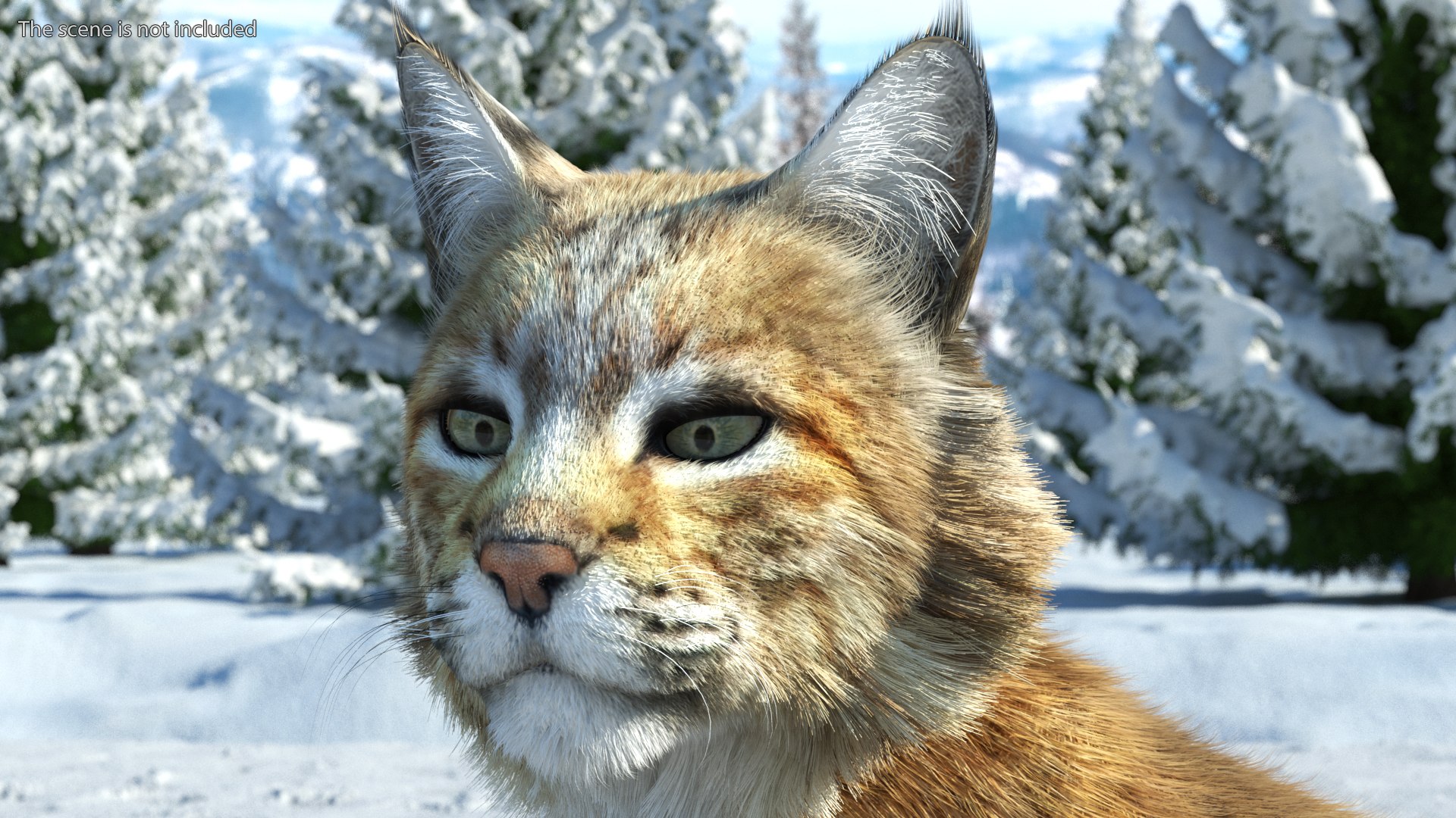 Red Lynx Lying Fur 3D - TurboSquid 2025464