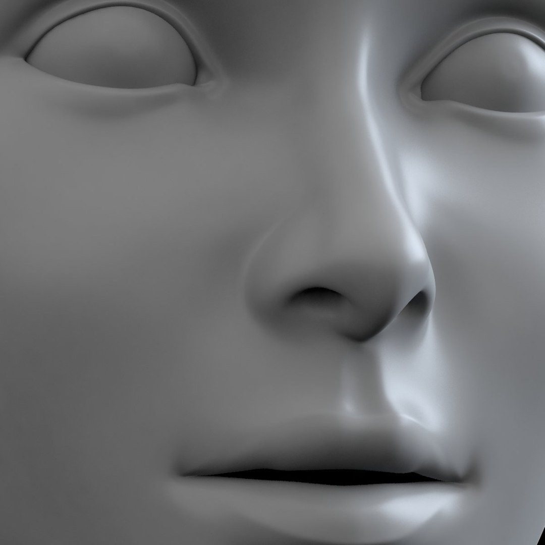 3d Model Basemesh Female Head Mesh