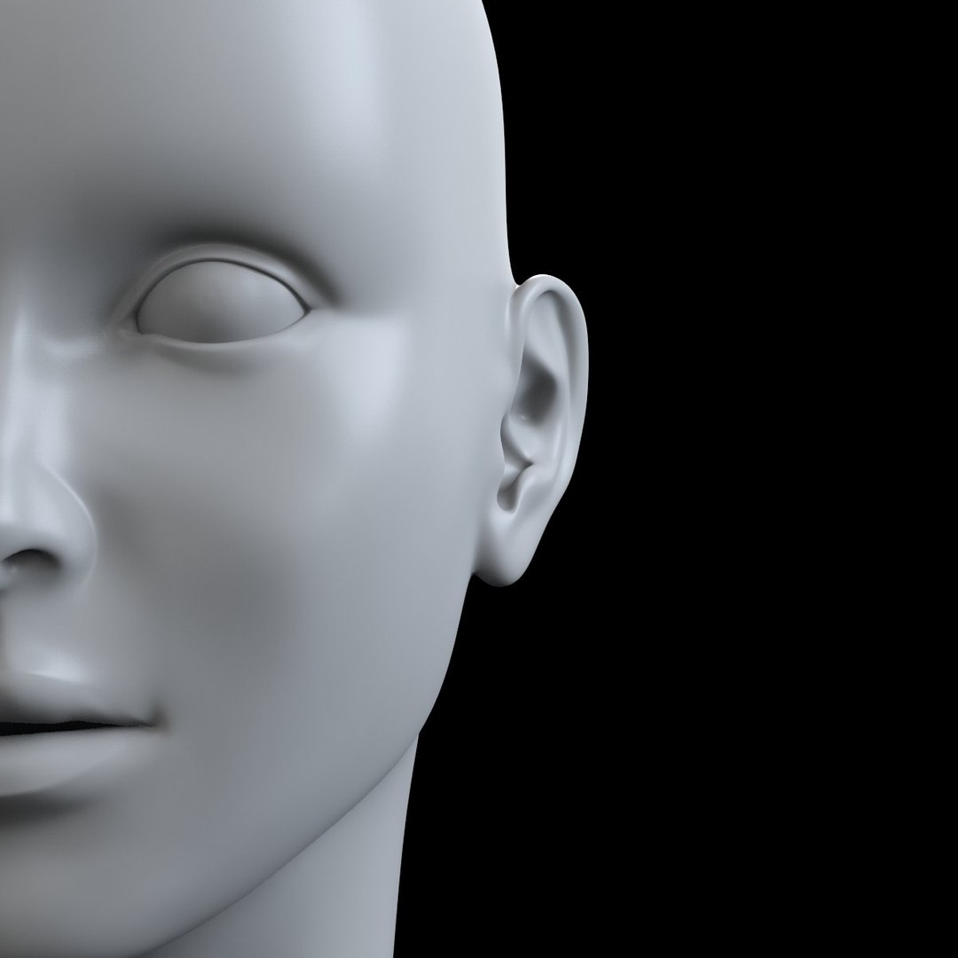 3d Model Basemesh Female Head Mesh
