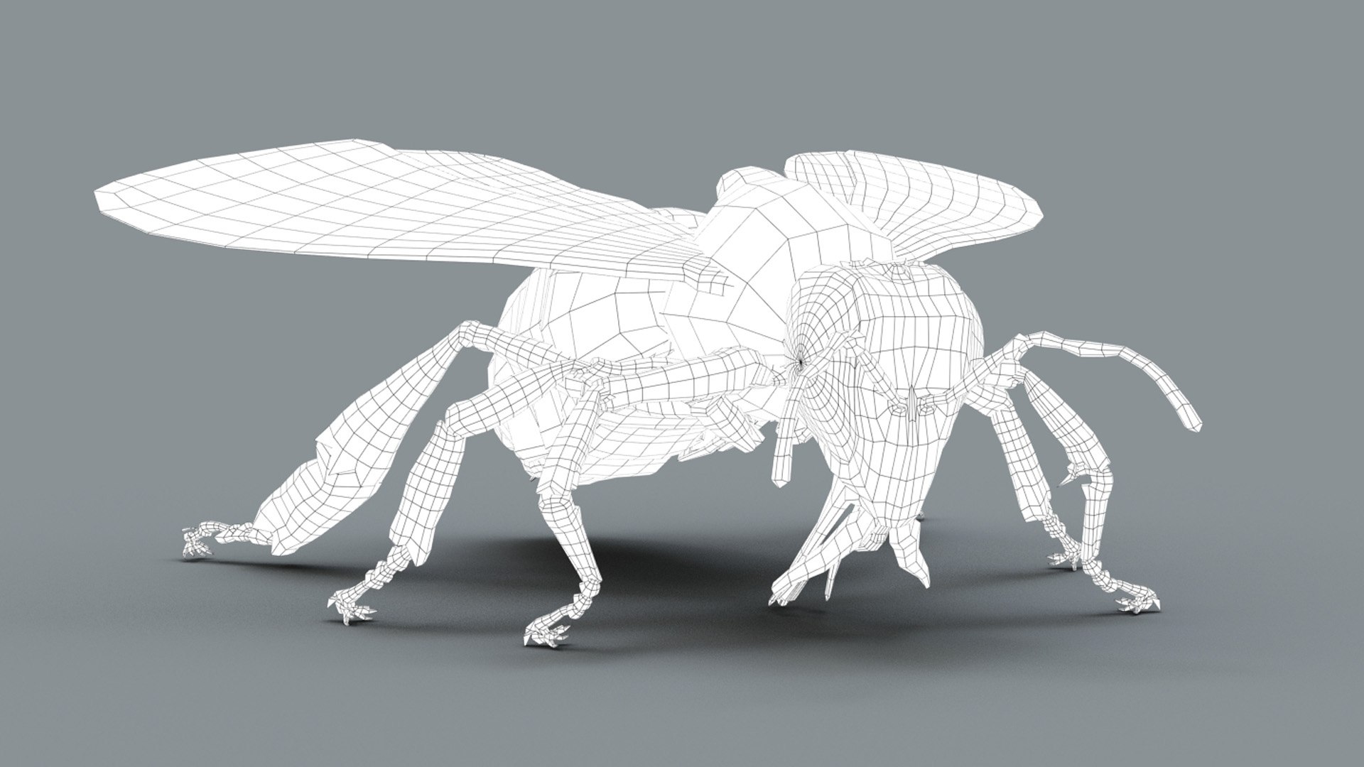 3D HoneyBee XGEN RIG - TurboSquid 2181572